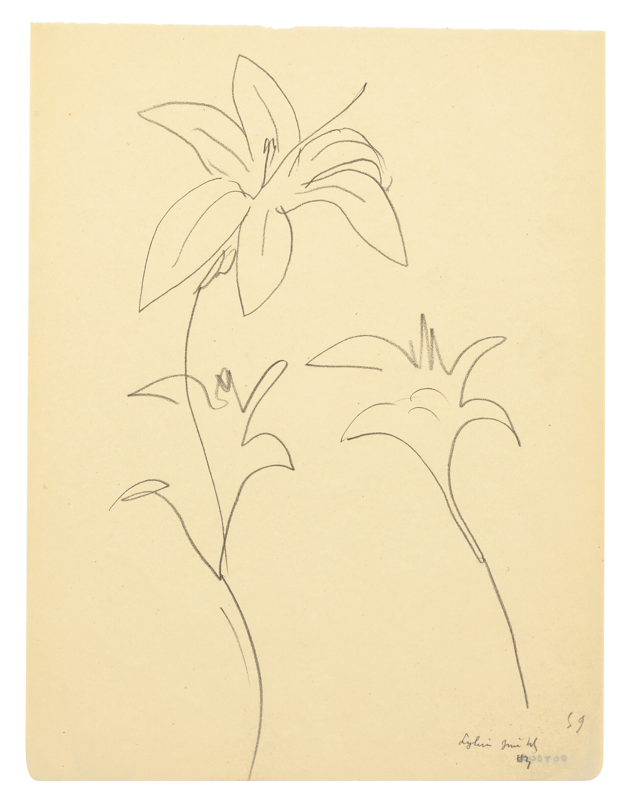 HENRI MATISSE (1869-1954), Lylium | Christie’s