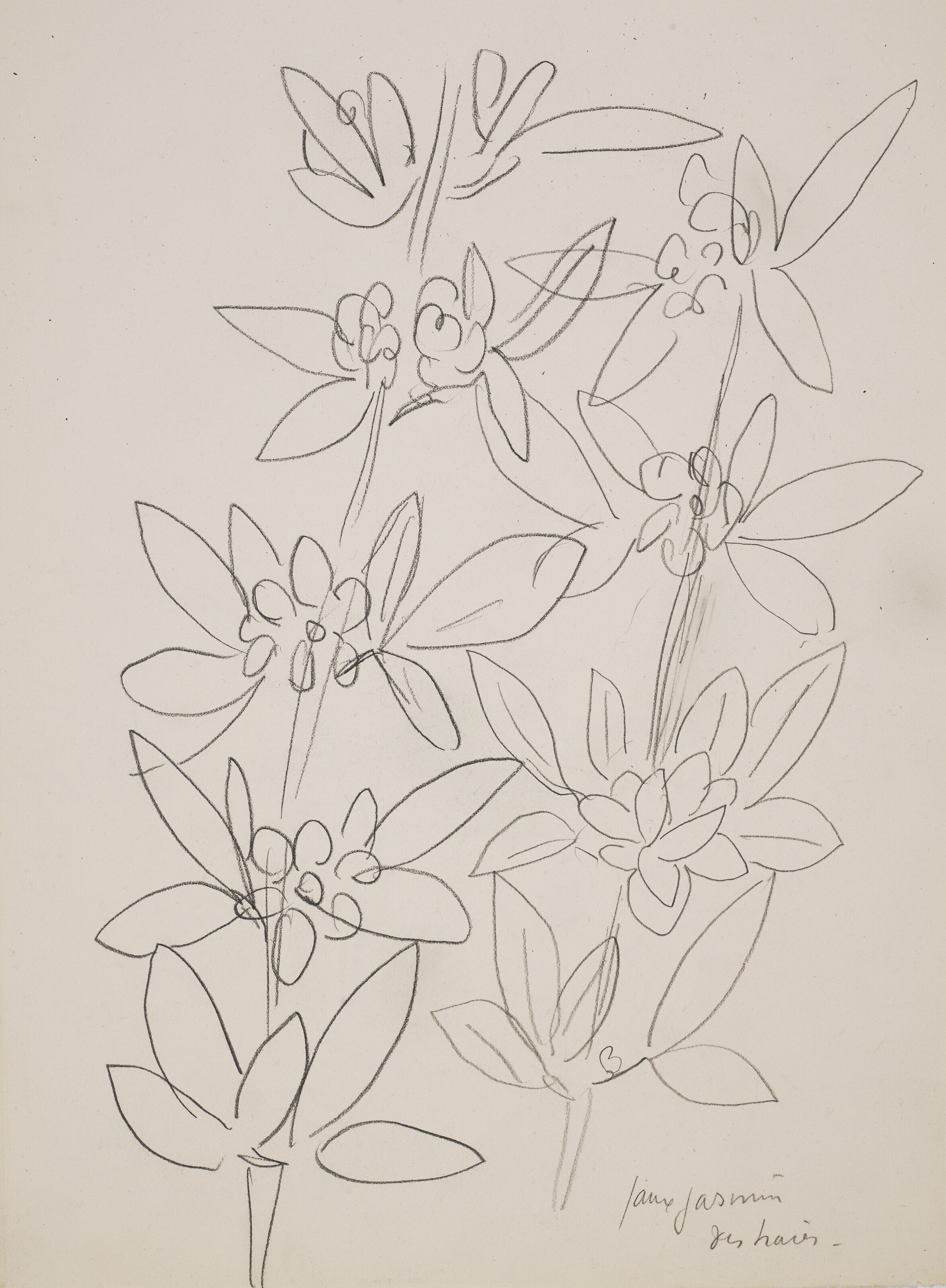 HENRI MATISSE (1869-1954), Faux jasmin des haies (recto); Masque ...
