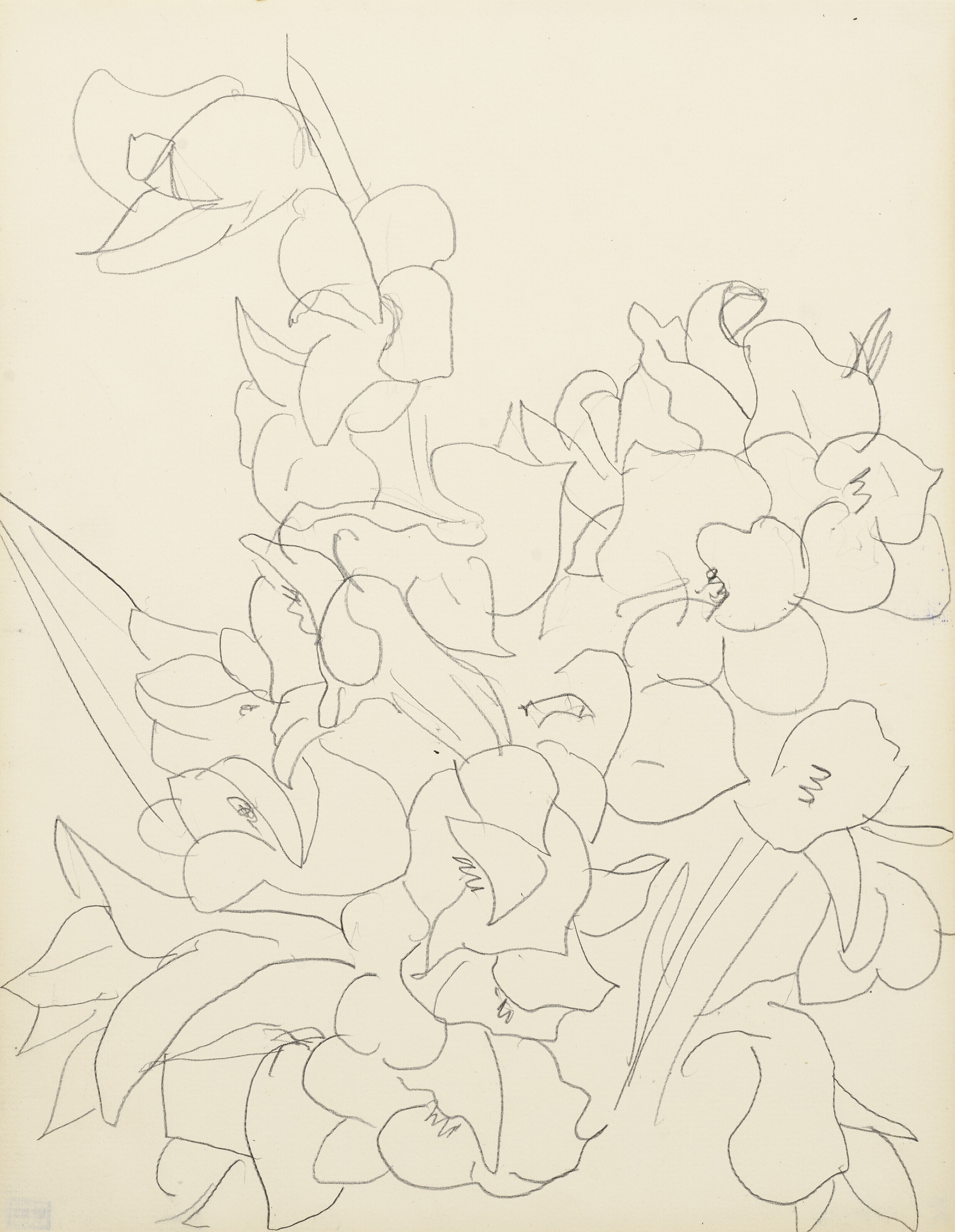 HENRI MATISSE (1869-1954), Fleurs et feuilles | Christie’s