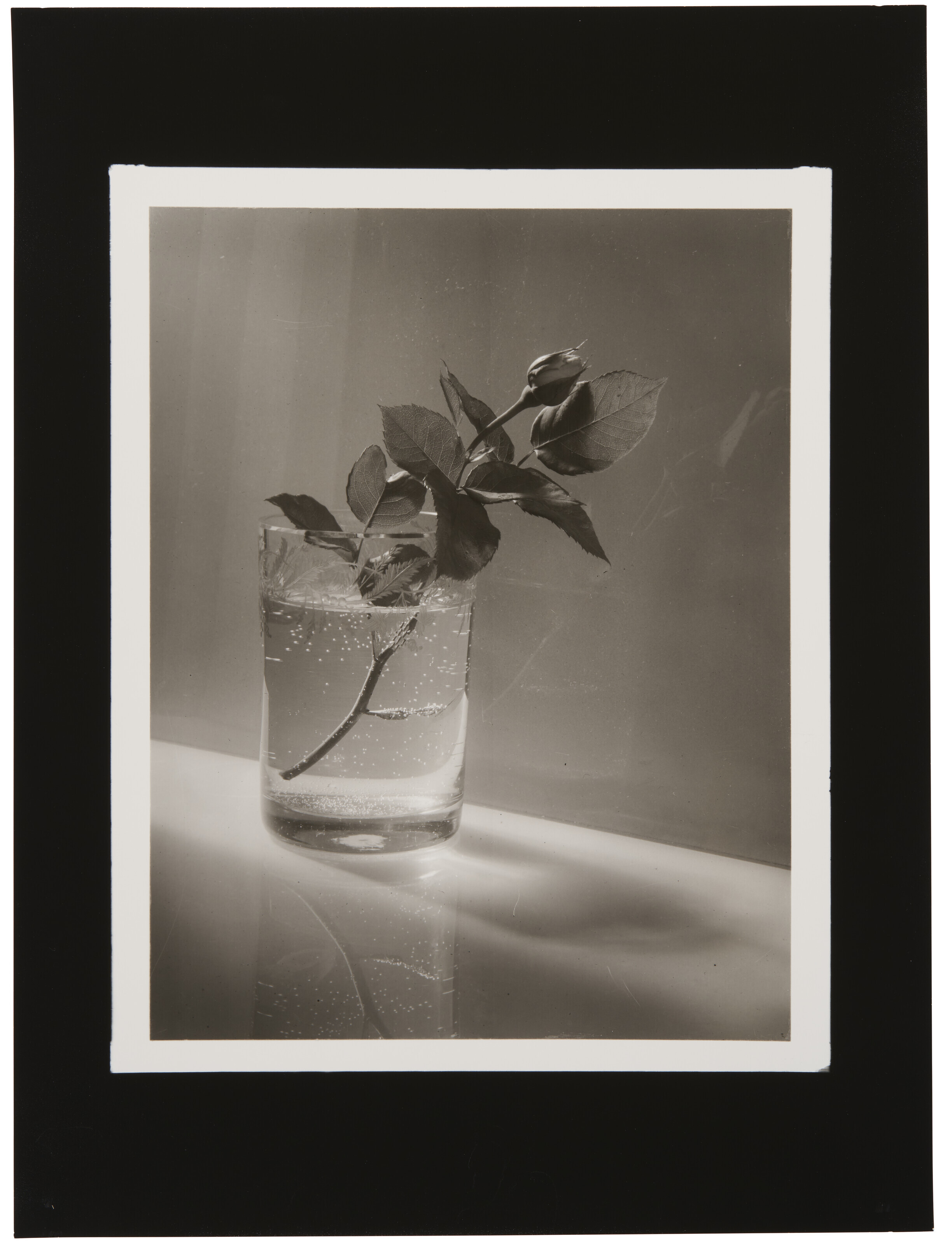 JOSEF SUDEK (1896–1976), 10 Photographs, 1940-1972 | Christie’s