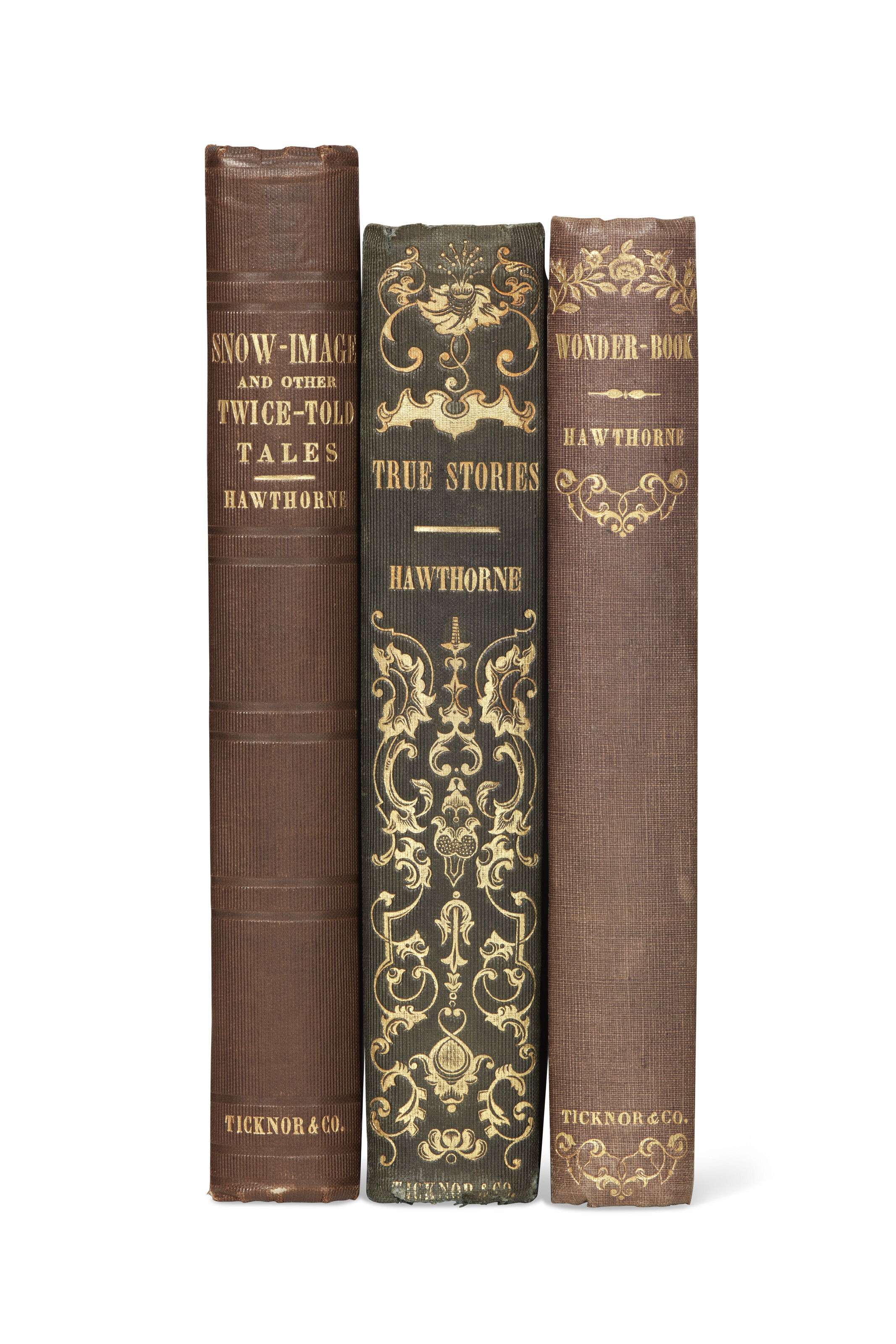 True Stories from History and Biography, The Snow-Image, and A Wonder ...