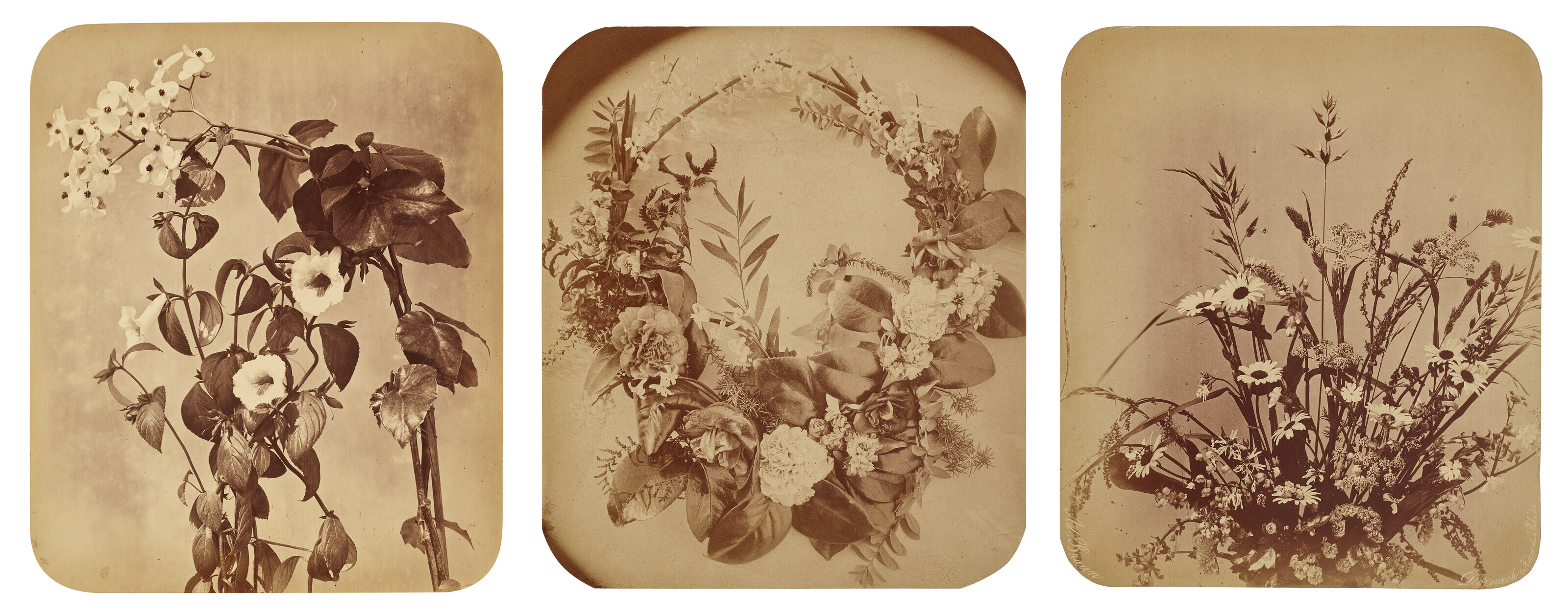 ADOLPHE BRAUN (1812–1877), Roses and other flowers, 1865 | Christie’s