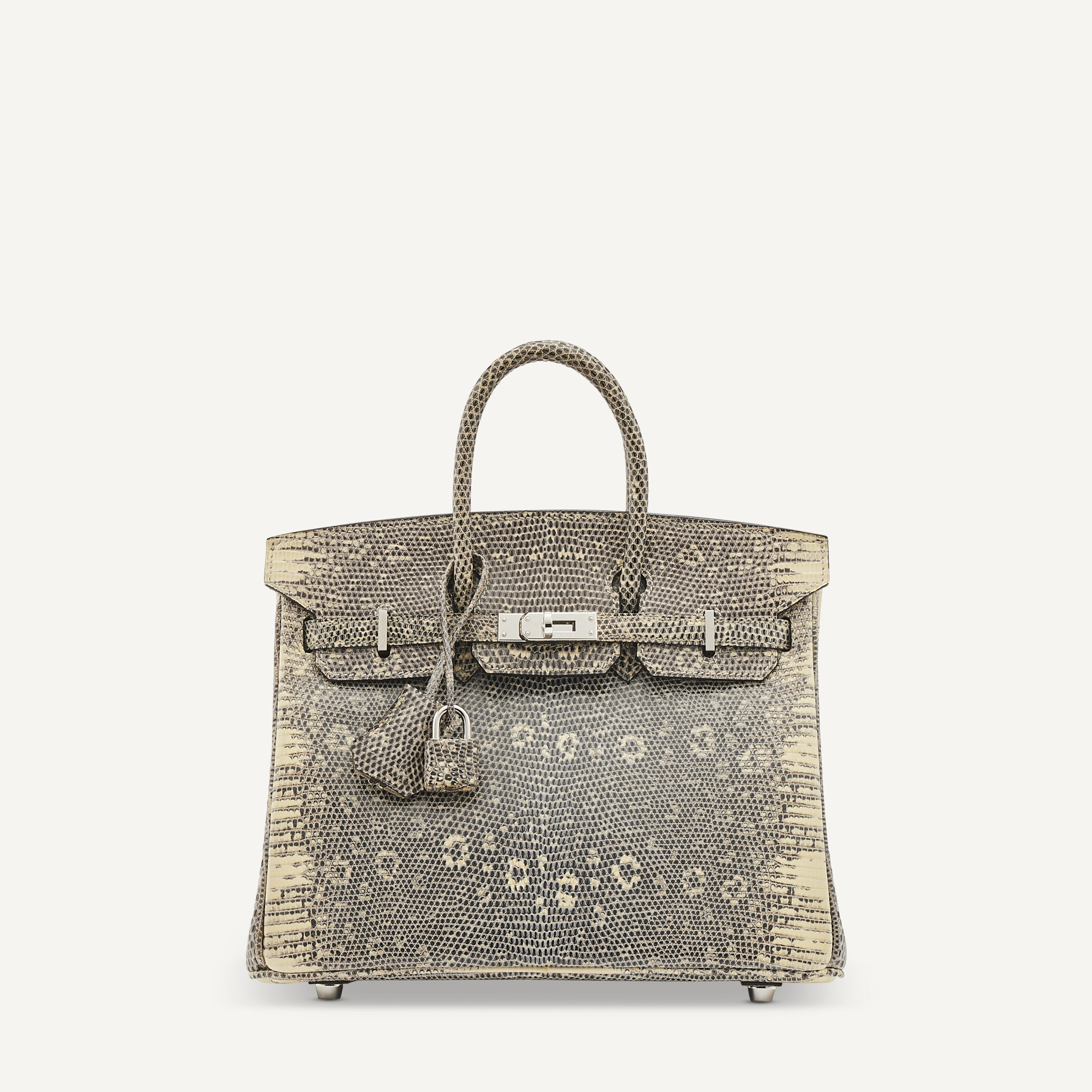 A SHINY OMBRÉ SALVATOR LIZARD BIRKIN 25 WITH PALLADIUM HARDWARE, HERMÈS ...