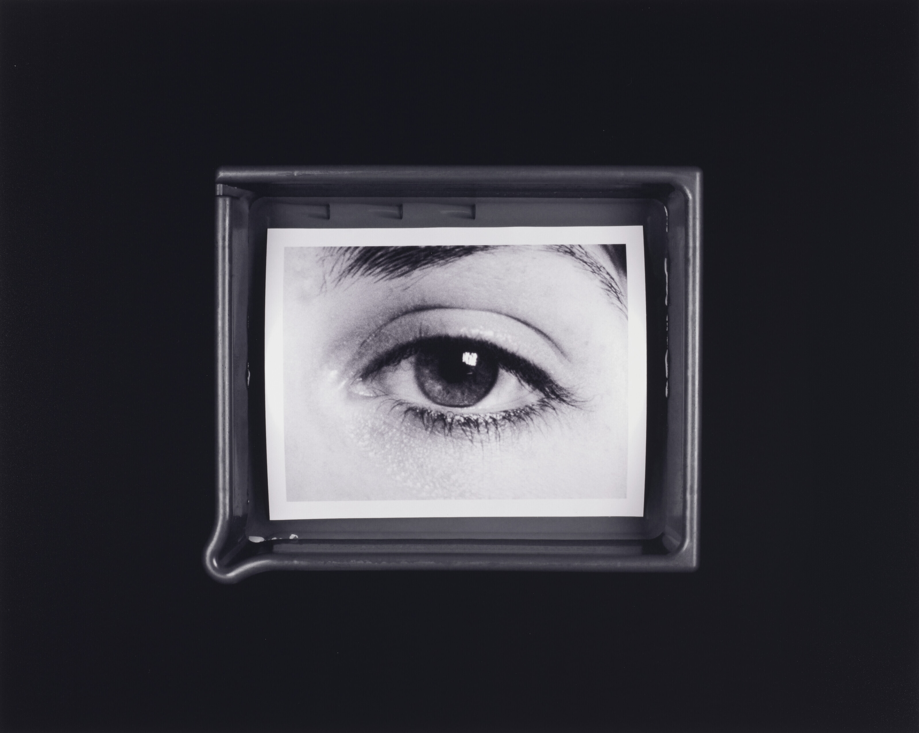 ANNE COLLIER (NÉE EN 1970), Developing Tray #1 (Grey), 2008 | Christie’s