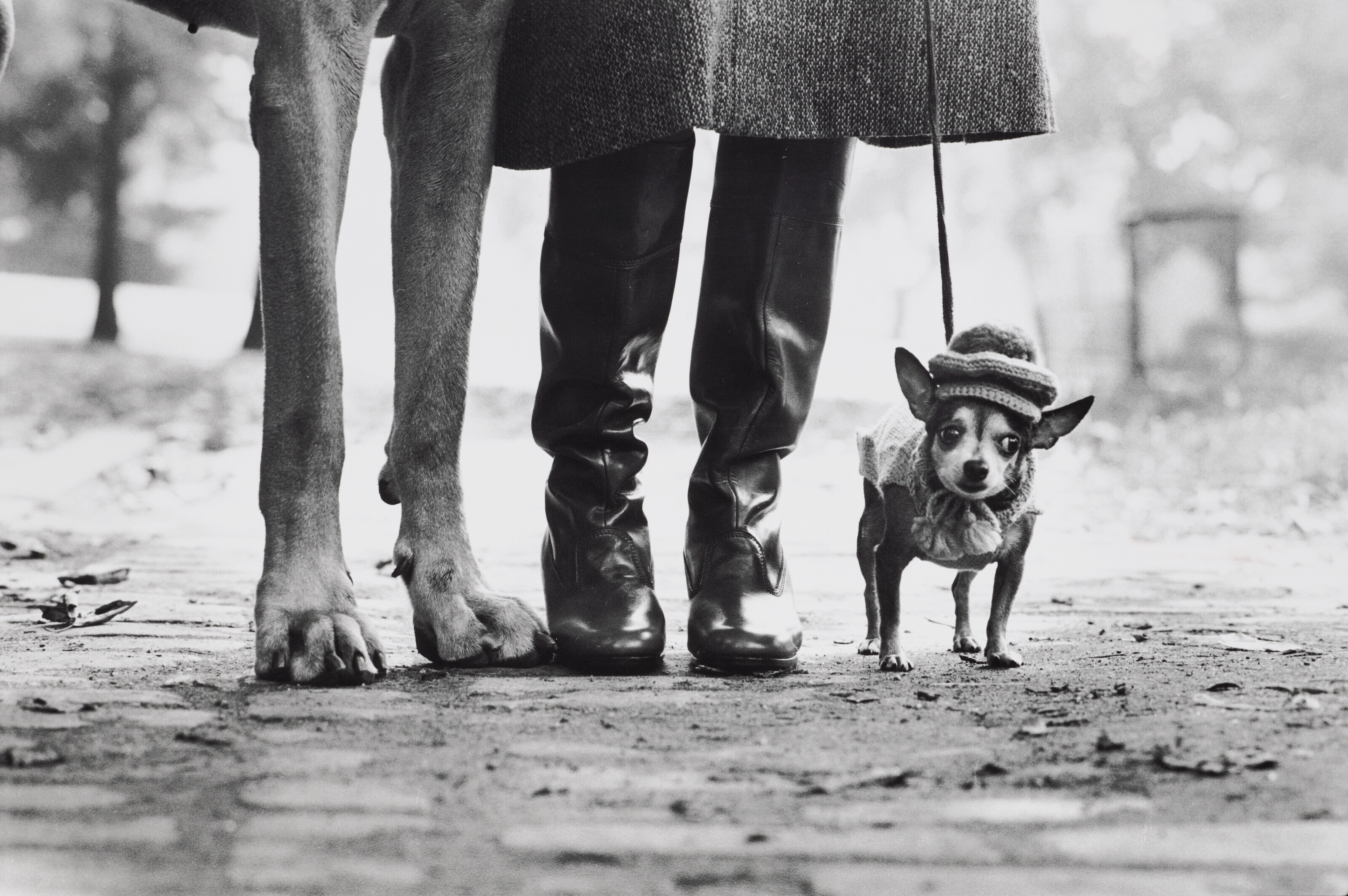 ELLIOTT ERWITT (NÉ EN 1928), New York City, 1974 | Christie’s