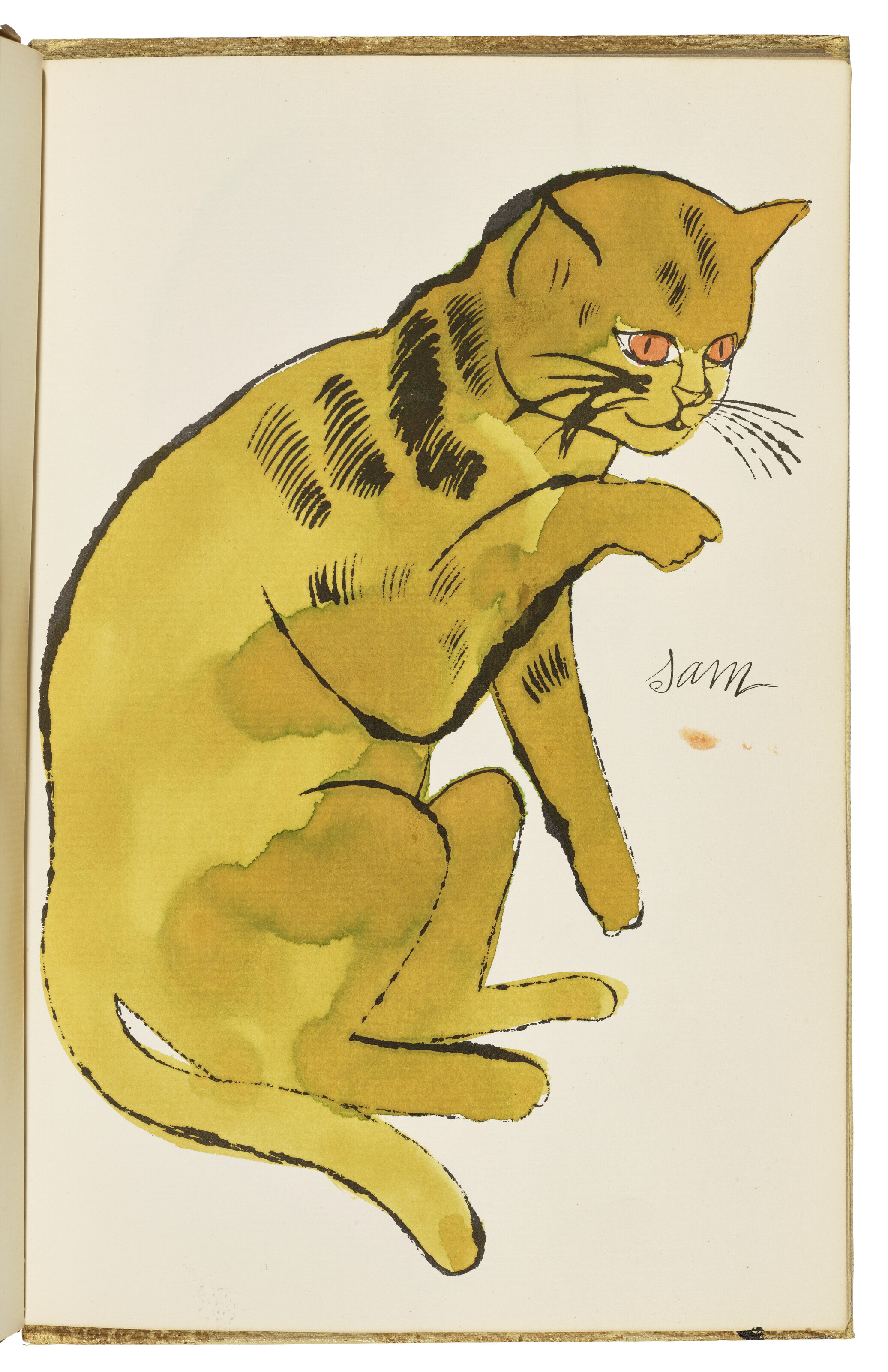 andy warhol cat sam