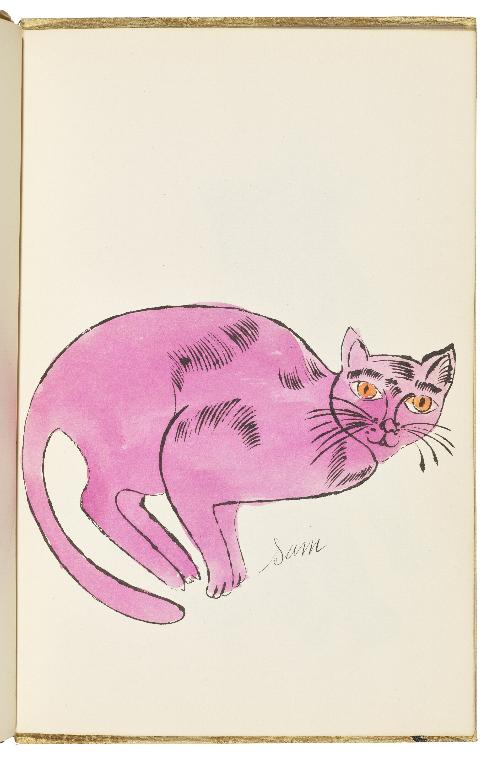 andy warhol cat sam