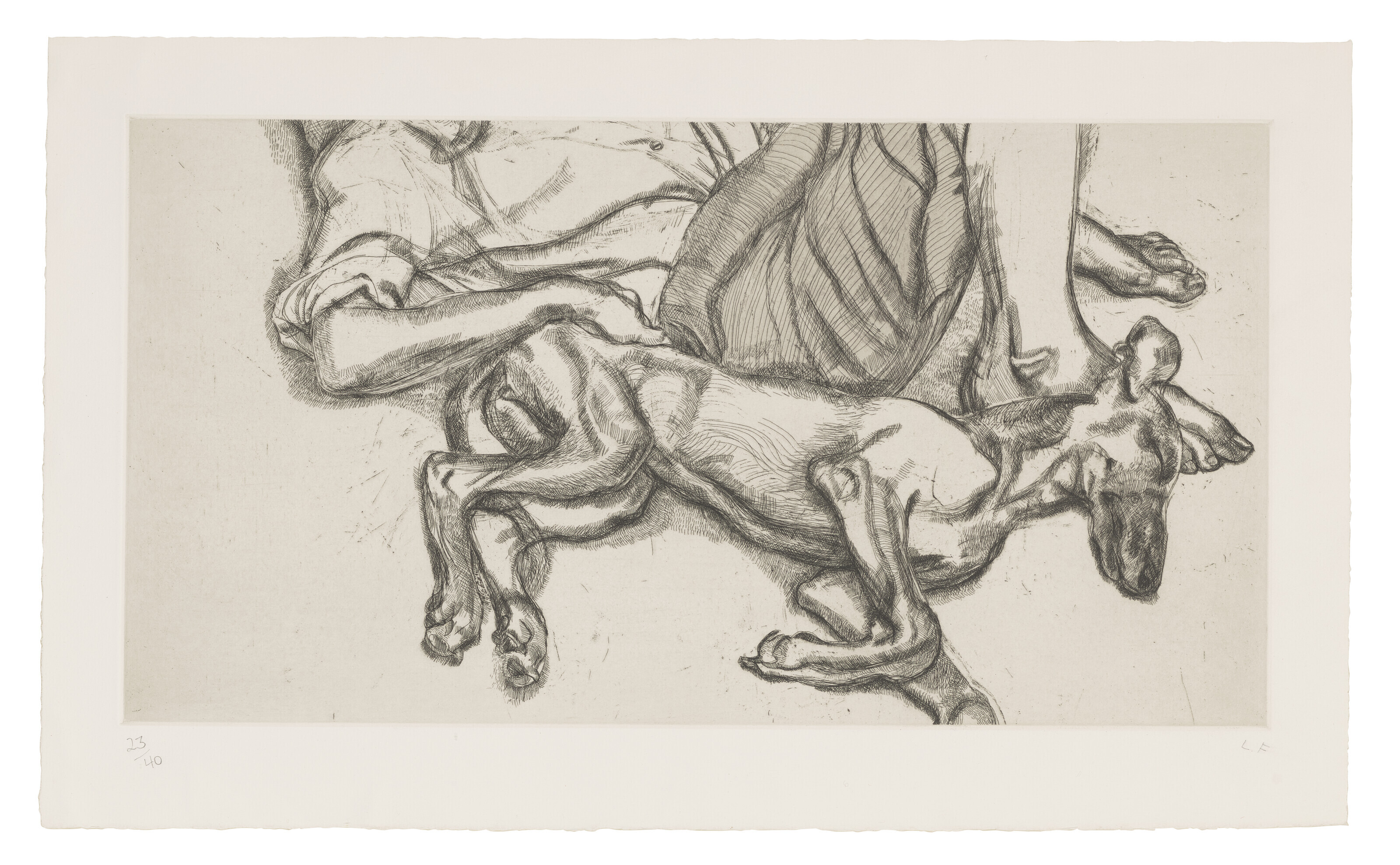 LUCIAN FREUD (1922-2011), Pluto | Christie’s