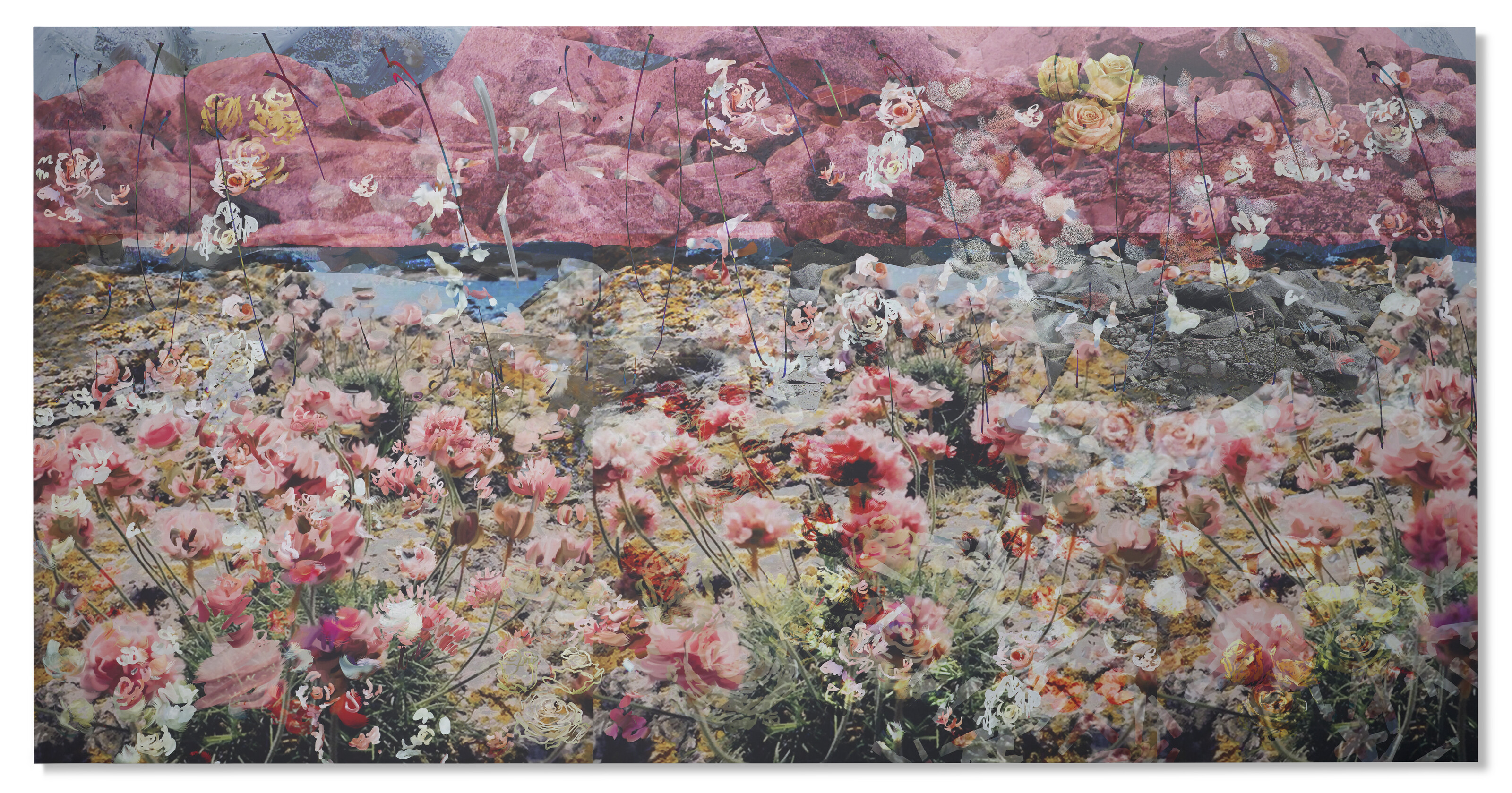 PETRA CORTRIGHT (B. 1986), vykort"8051kit" picture of chili peppers ...