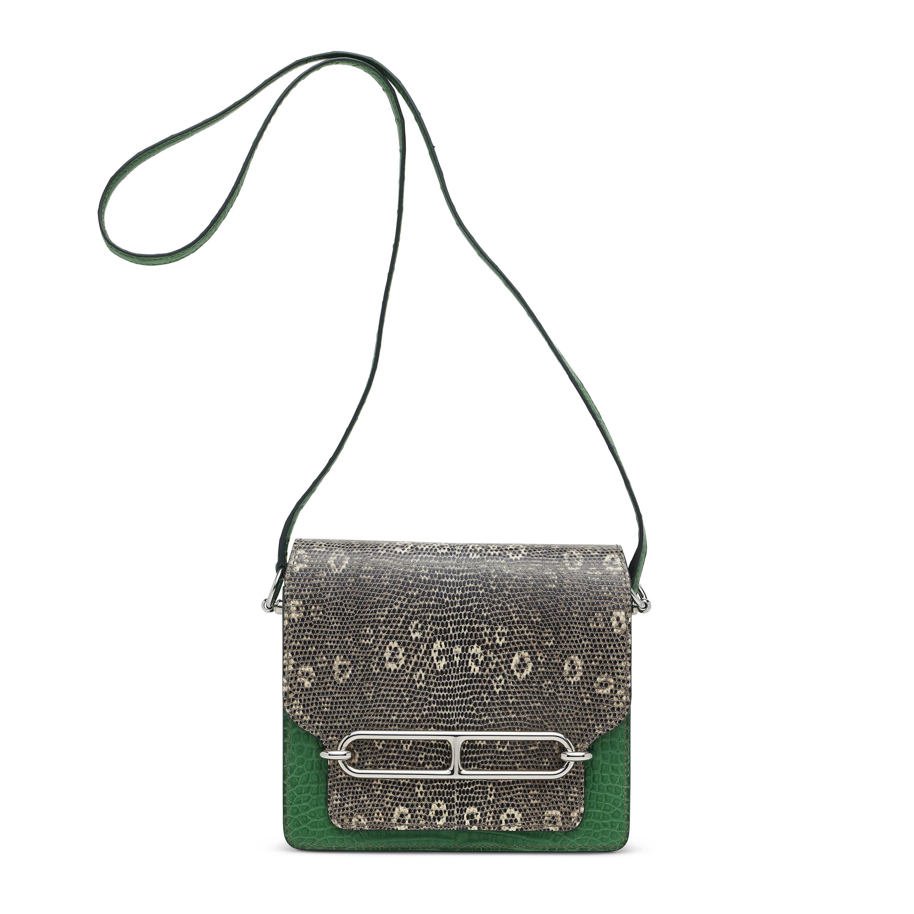 A LIMITED EDITION SHINY OMBRÉ SALVATOR LIZARD & MATTE CACTUS ALLIGATOR ...