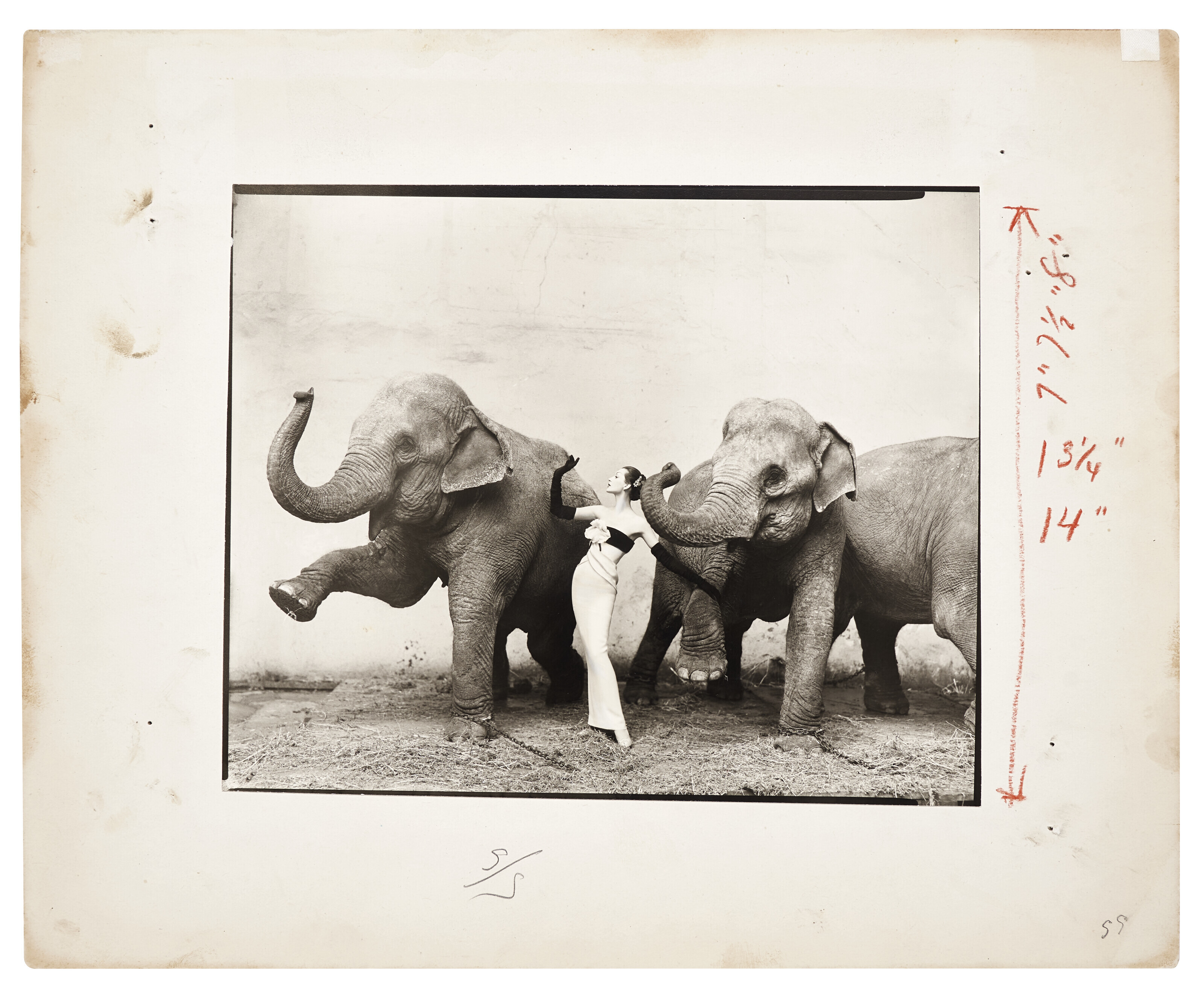 Richard Avedon Elephant Dovima With The Elephants | Evening Dress