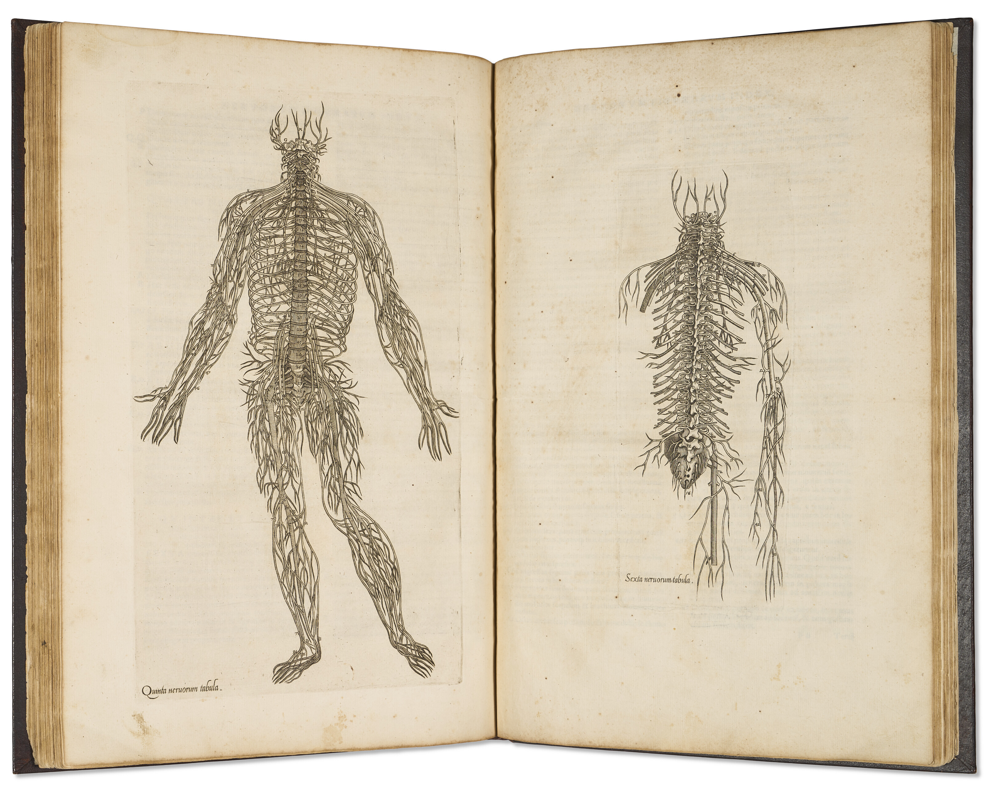 Compendiosa totius Anatomie delineatio, Thomas Geminus, 1545 | Christie’s