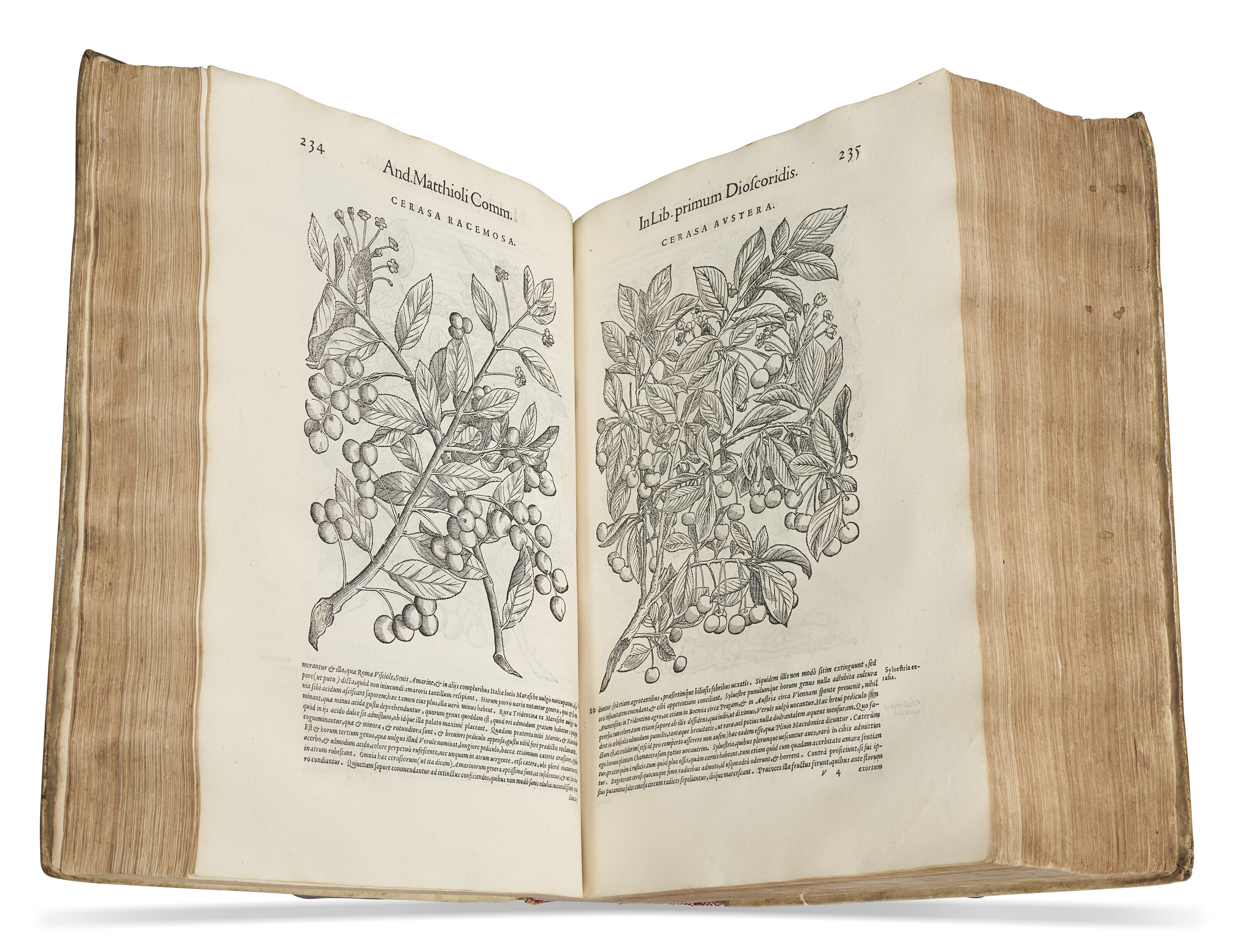 Commentarii in sex libros Pedacii Dioscoridis Anazarbei de Medica ...