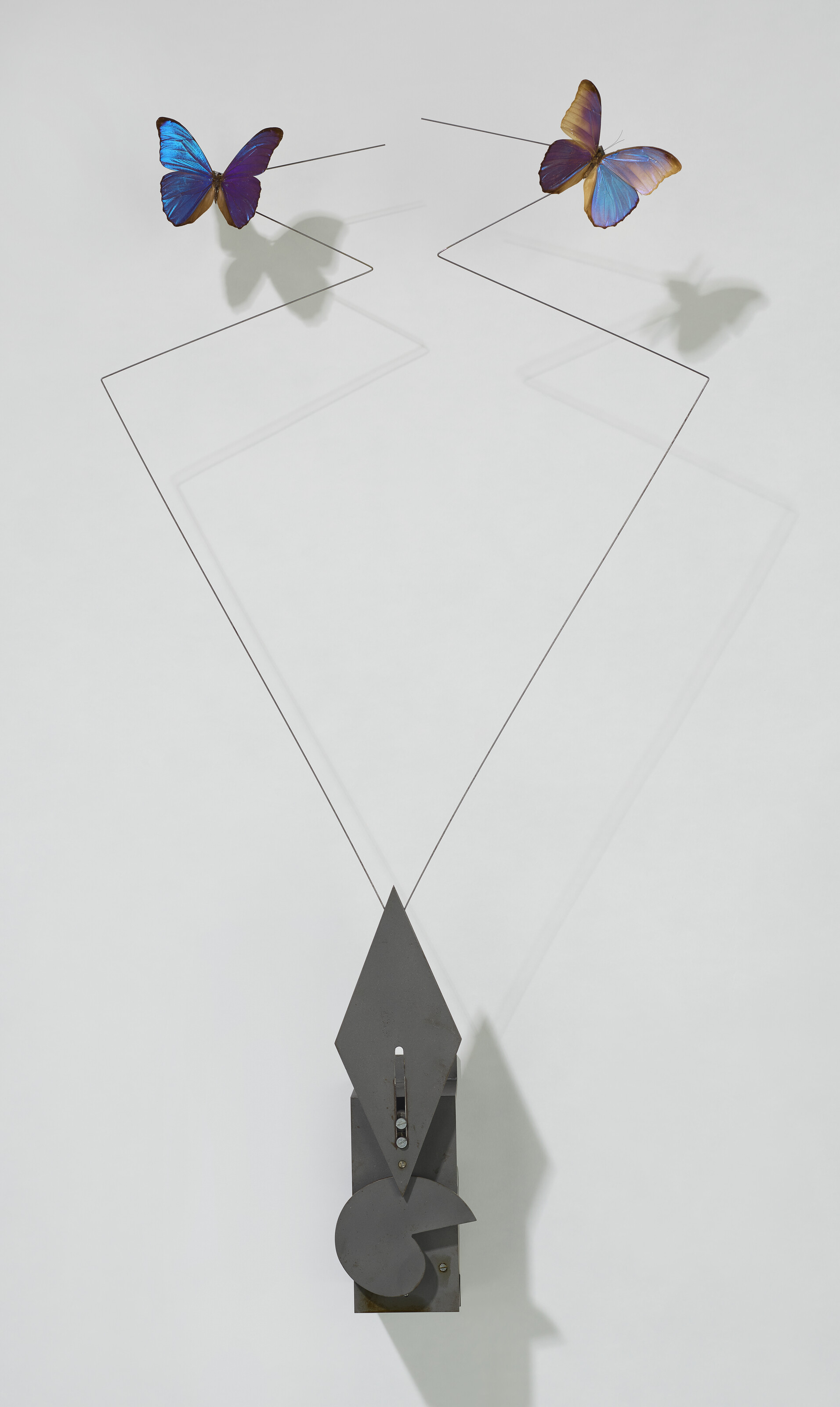 REBECCA HORN (B. 1944), Butterfly Machine | Christie’s