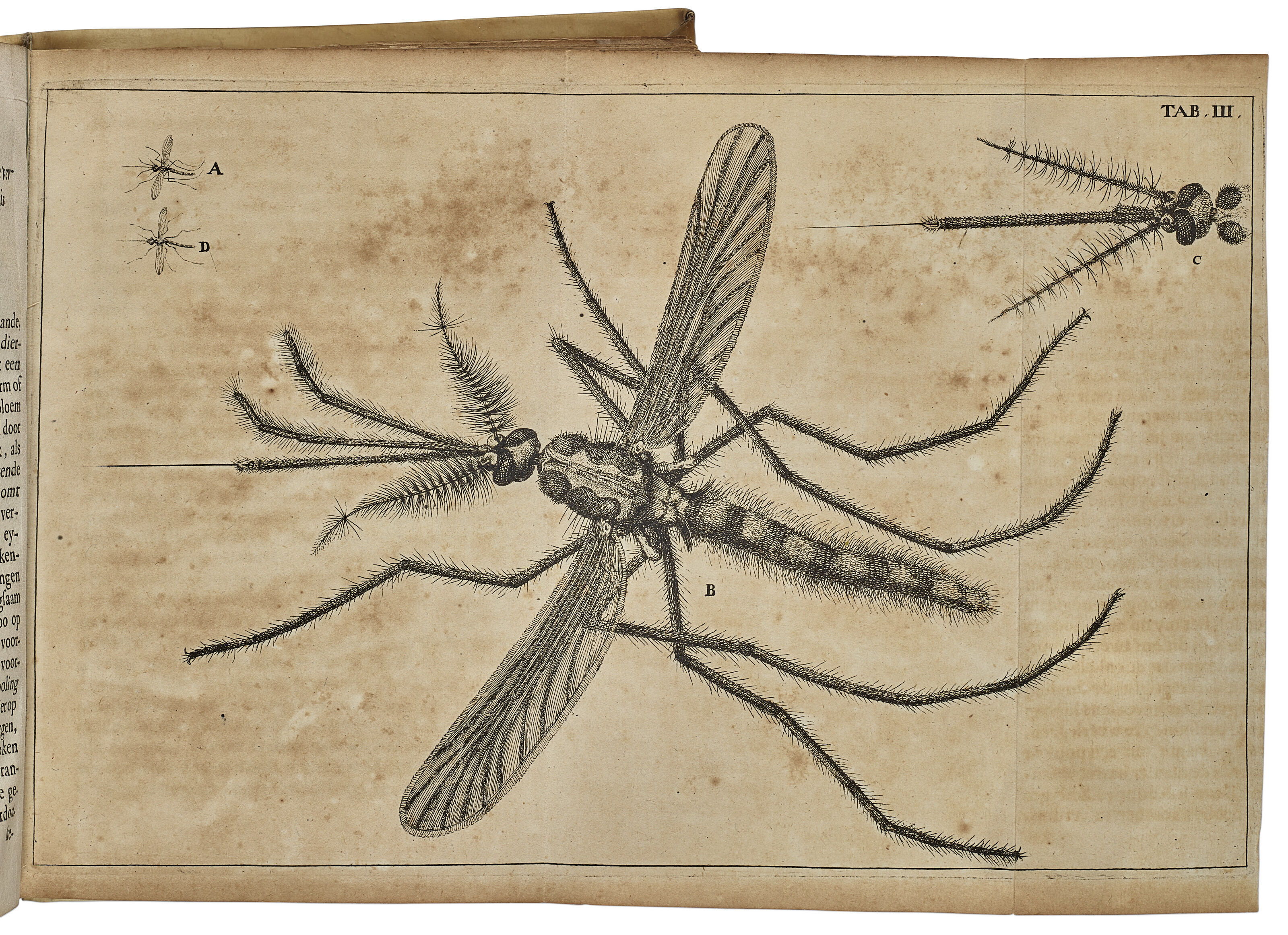 Historia insectorum Generalis, Jan Swammerdam, 1669 | Christie’s