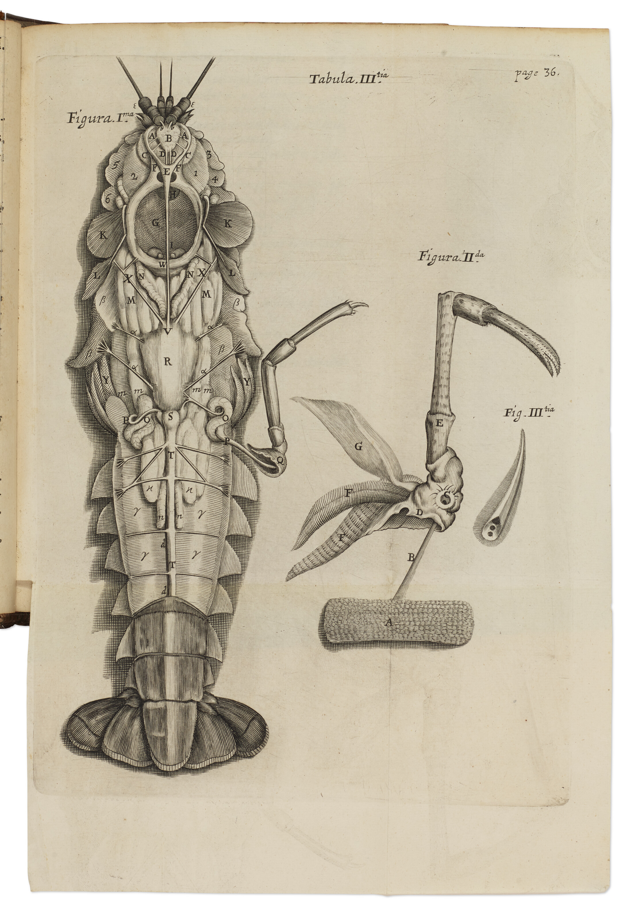 De anima brutorum, Thomas Willis, 1672 | Christie’s