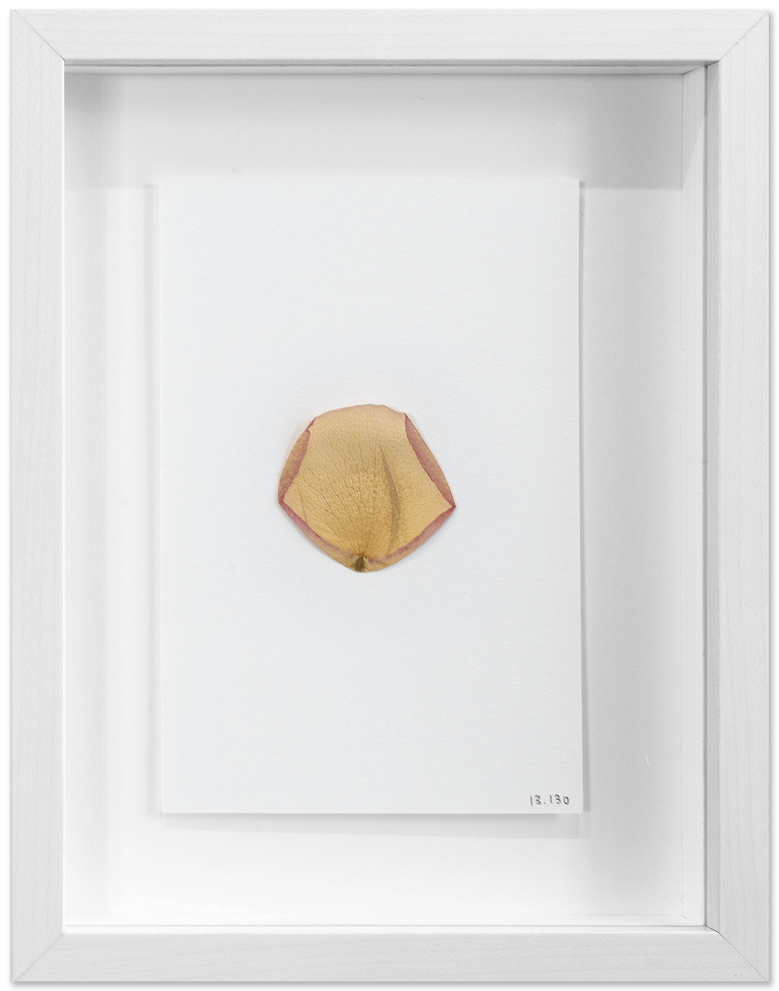 SARAH MEYOHAS (B. 1991), Bitchcoin #13.130; BITCHCOIN, Public Key ...