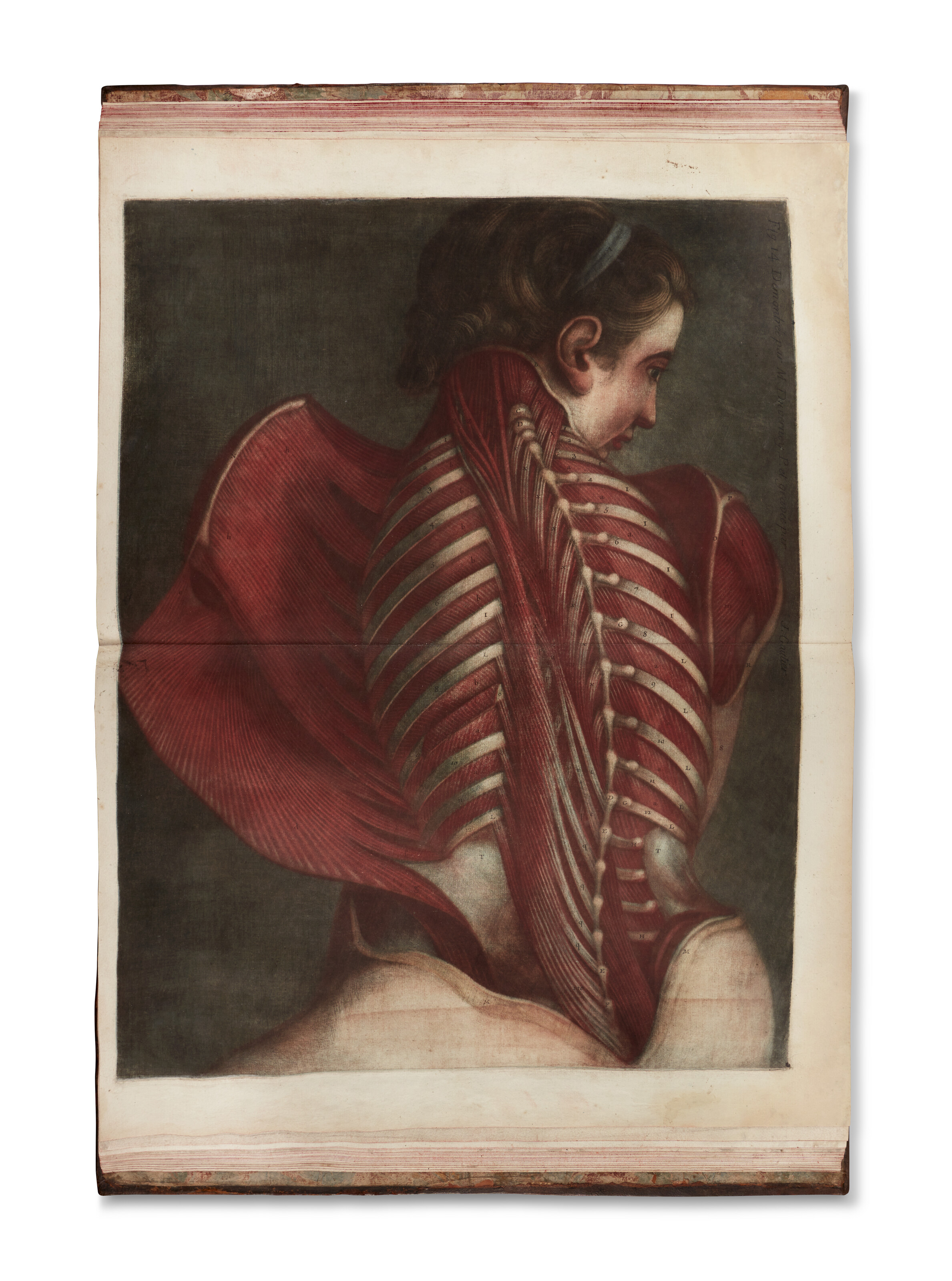 GAUTIER D'AGOTY, Jacques-Fabien (1716-1785), Myologie complette en ...