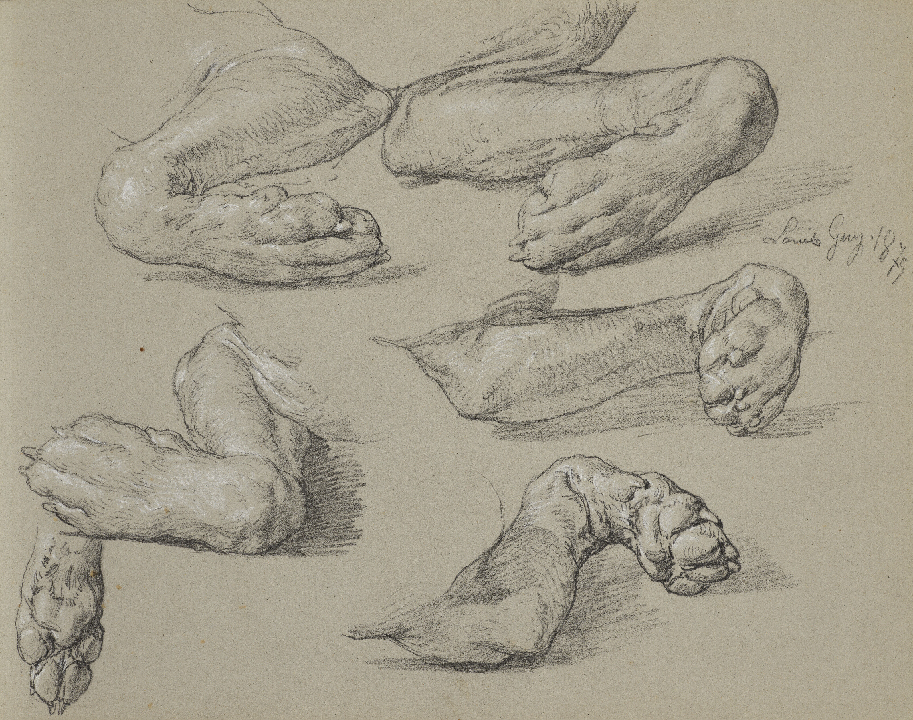 JEAN-BAPTISTE-LOUIS GUY (FRANCE, 1824-1888), Études de pattes d'animaux ...