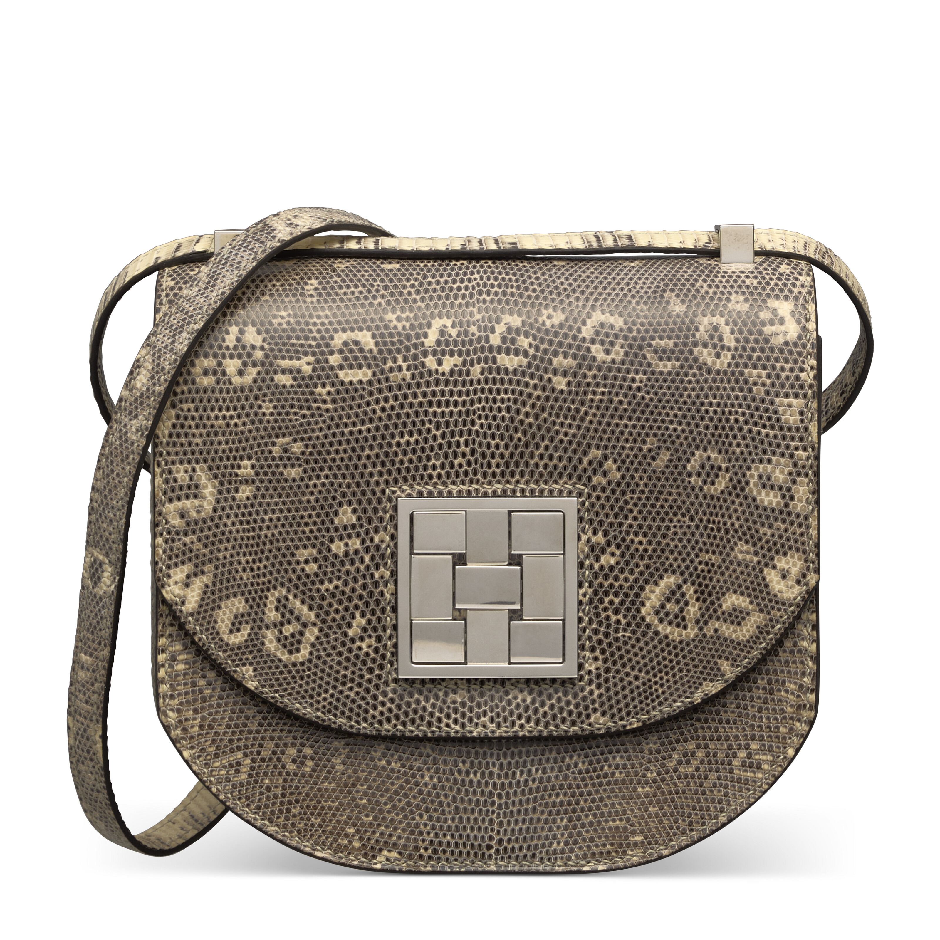 A SHINY OMBRÉ SALVATOR LIZARD & VERT FONCÉ MINI VERSO MOSAÏQUE 17 WITH ...