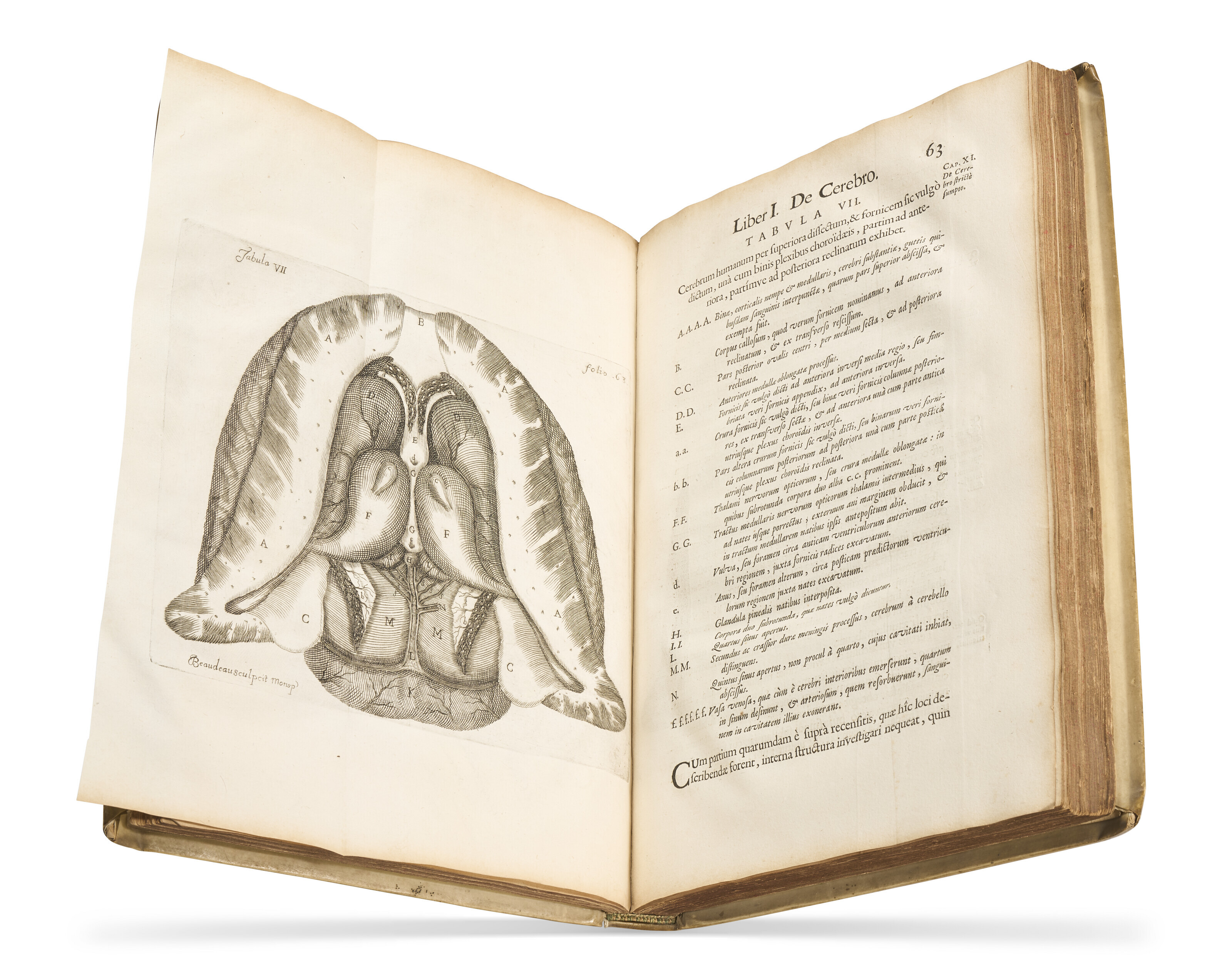Neurographia universalis, Raymond Vieussens, 1685 | Christie’s