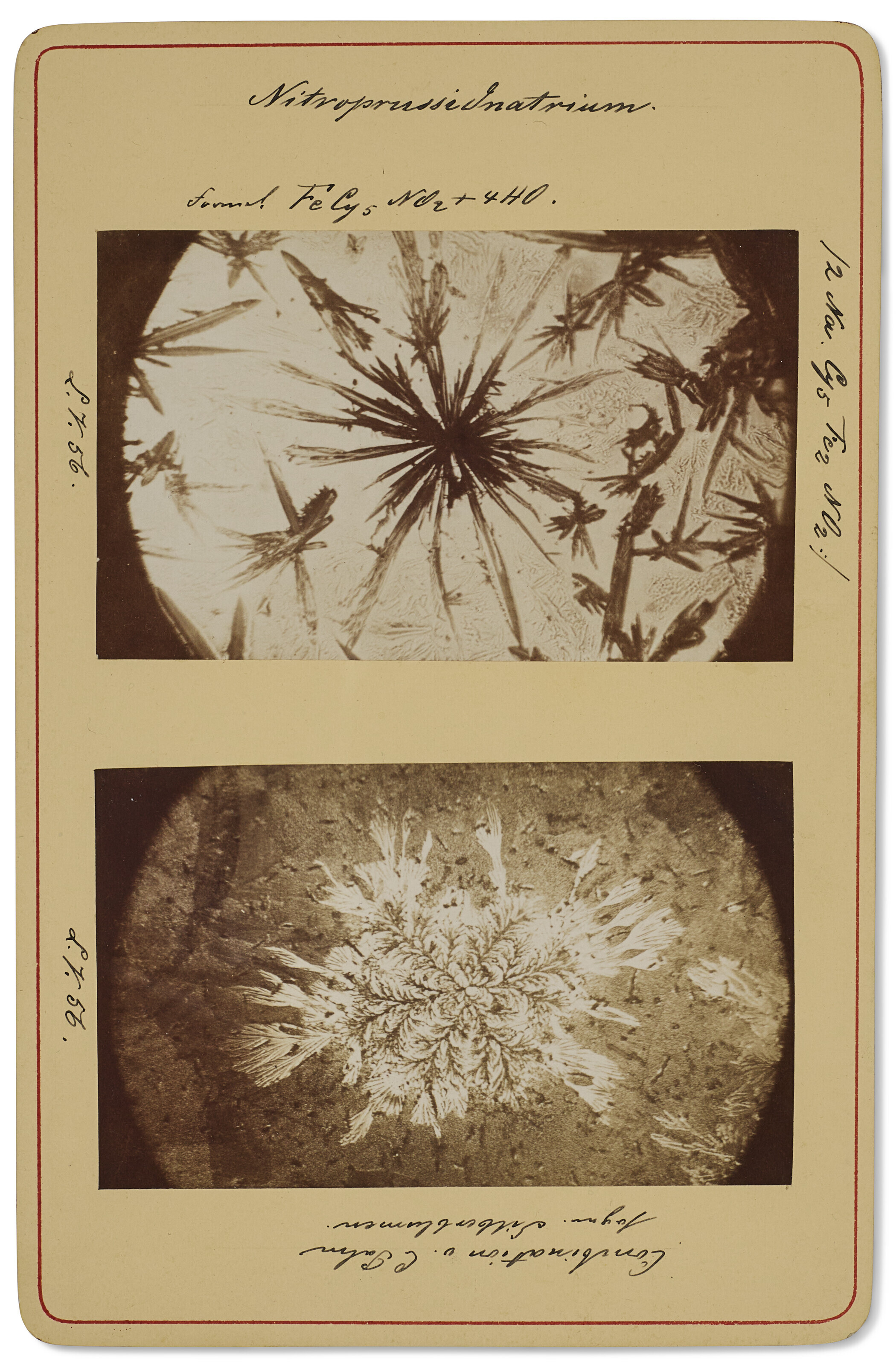 Microphotography, Conrad Palm, c.1875 | Christie’s