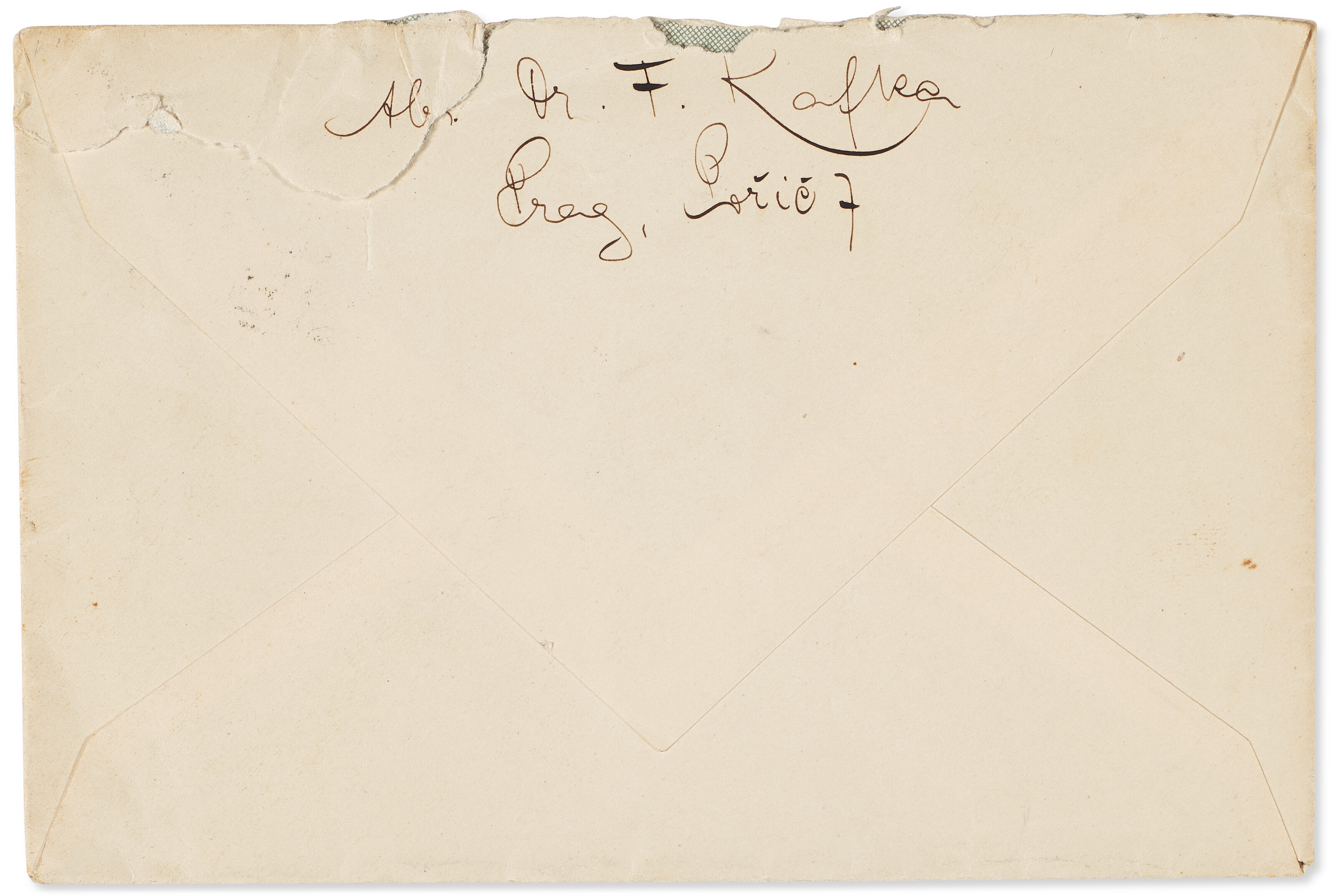 franz bauer discovery