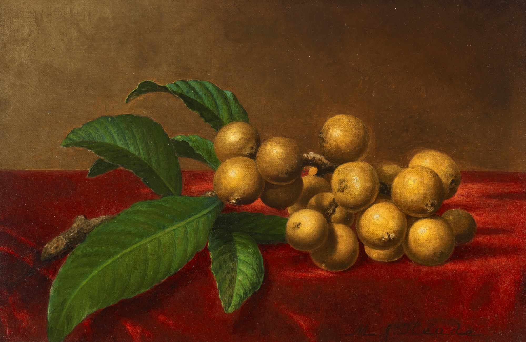 MARTIN JOHNSON HEADE (1819-1904), Loquats on Red Velvet | Christie's