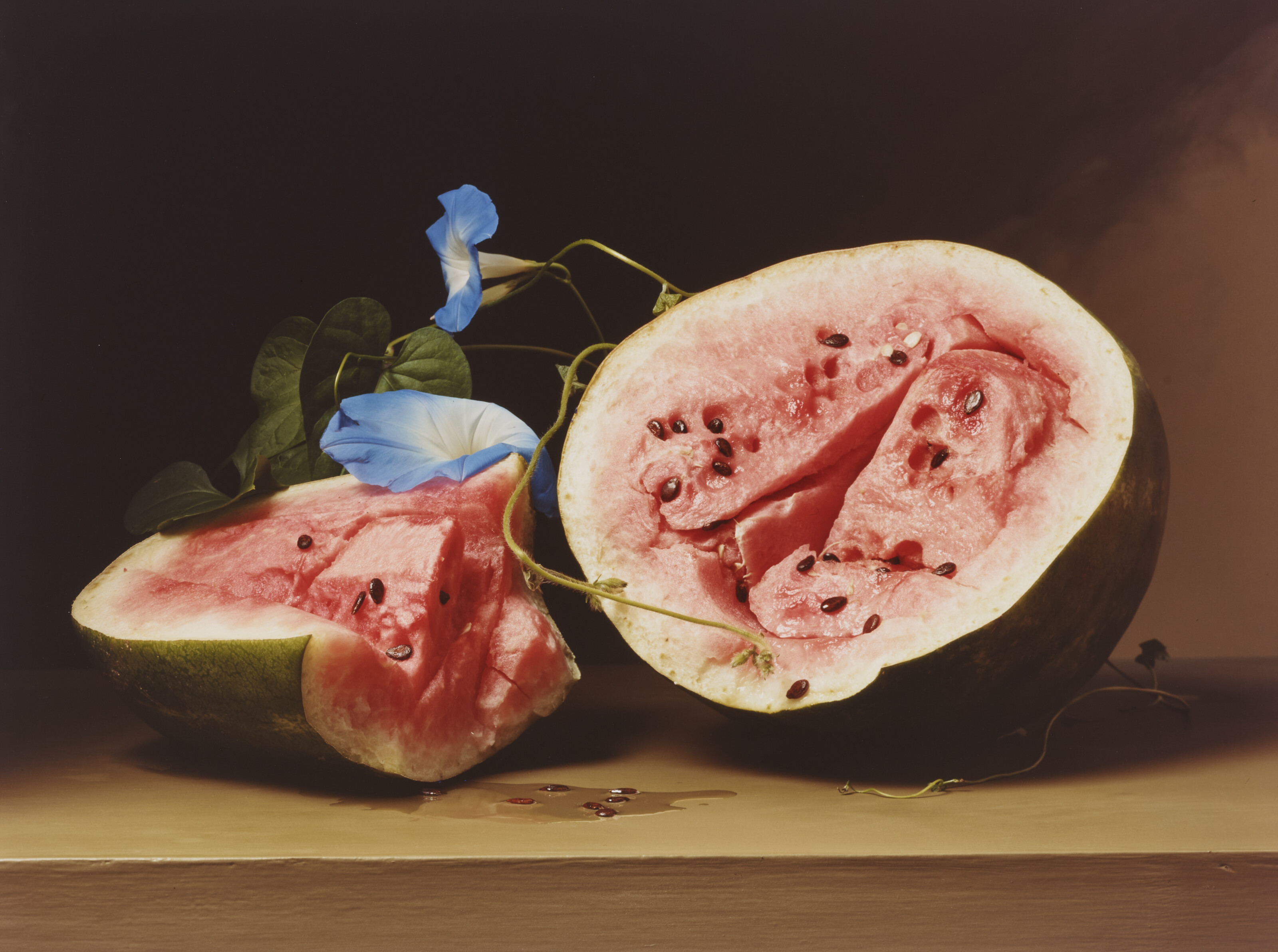 SHARON CORE (B. 1965), Early American, Melons and Morning Glories, 2008 ...