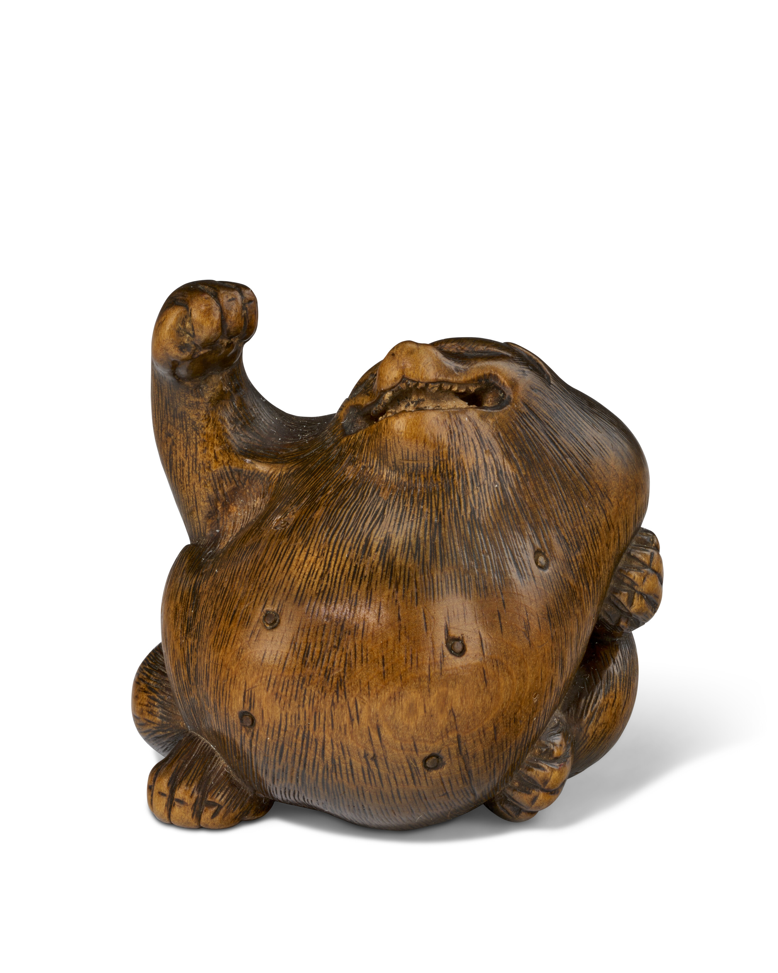 A WOOD CARVED NETSUKE OF A BELLY-DRUM RACOON DOG (TANUKI NO HARATSUZUMI ...