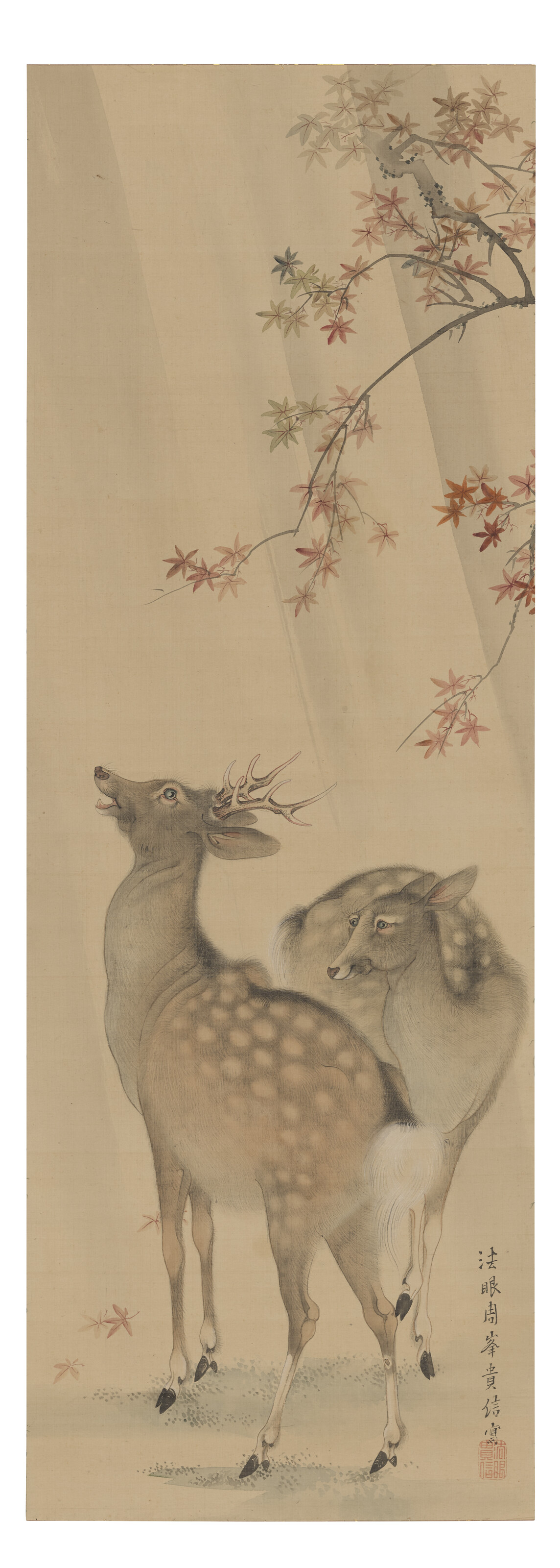 MORI SHUHO (1738－1823), Pair of deer beneath a maple tree | Christie’s