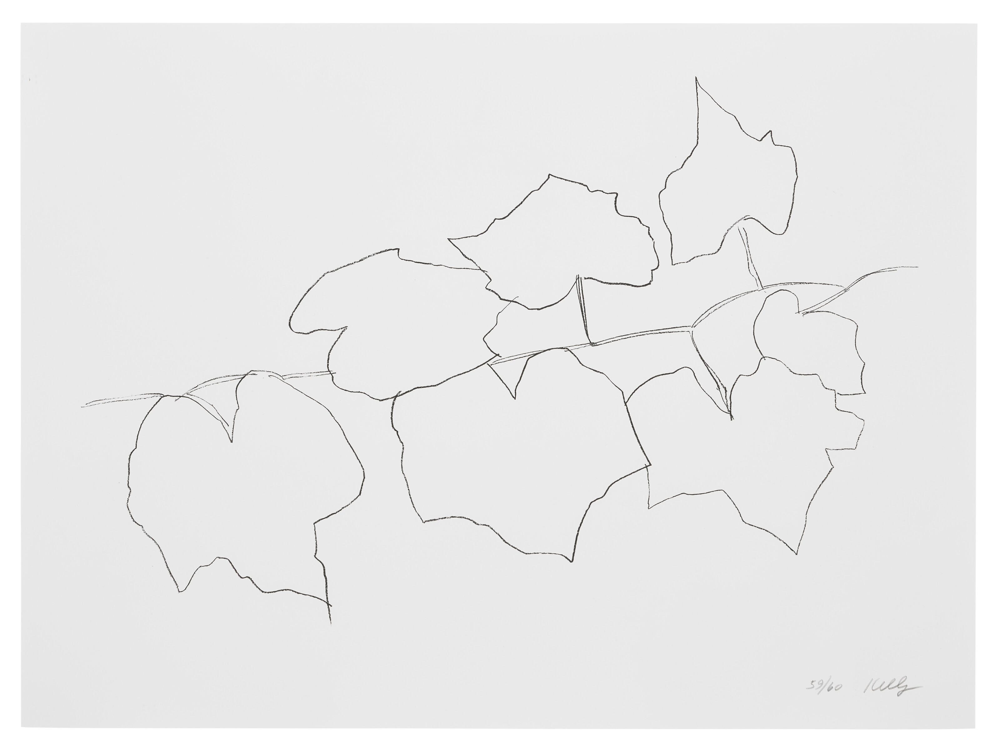 ELLSWORTH KELLY (1923-2015), Wild Grape Leaves II, from Series of Five ...