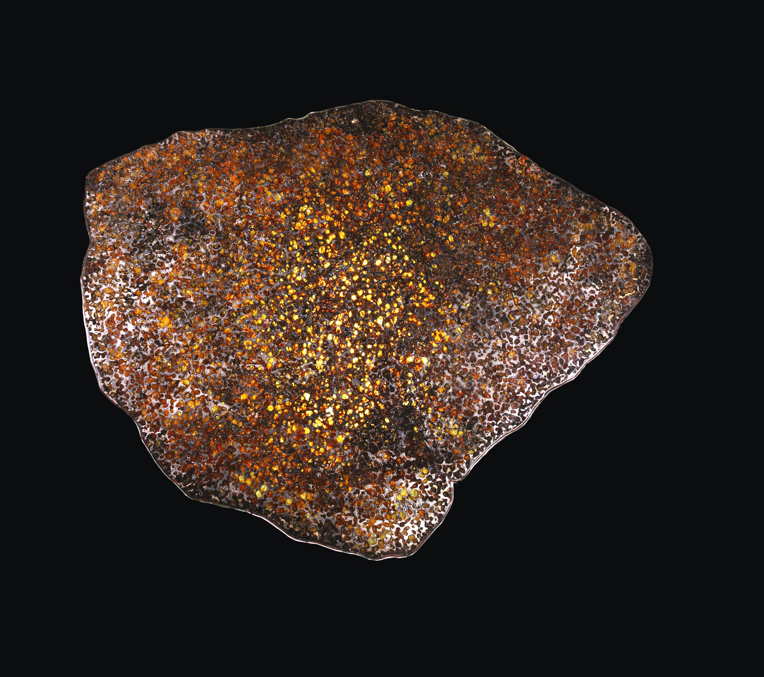 A COMPLETE SERICHO METEORITE SLICE, Pallasite — PMG Habaswein / Sericho ...