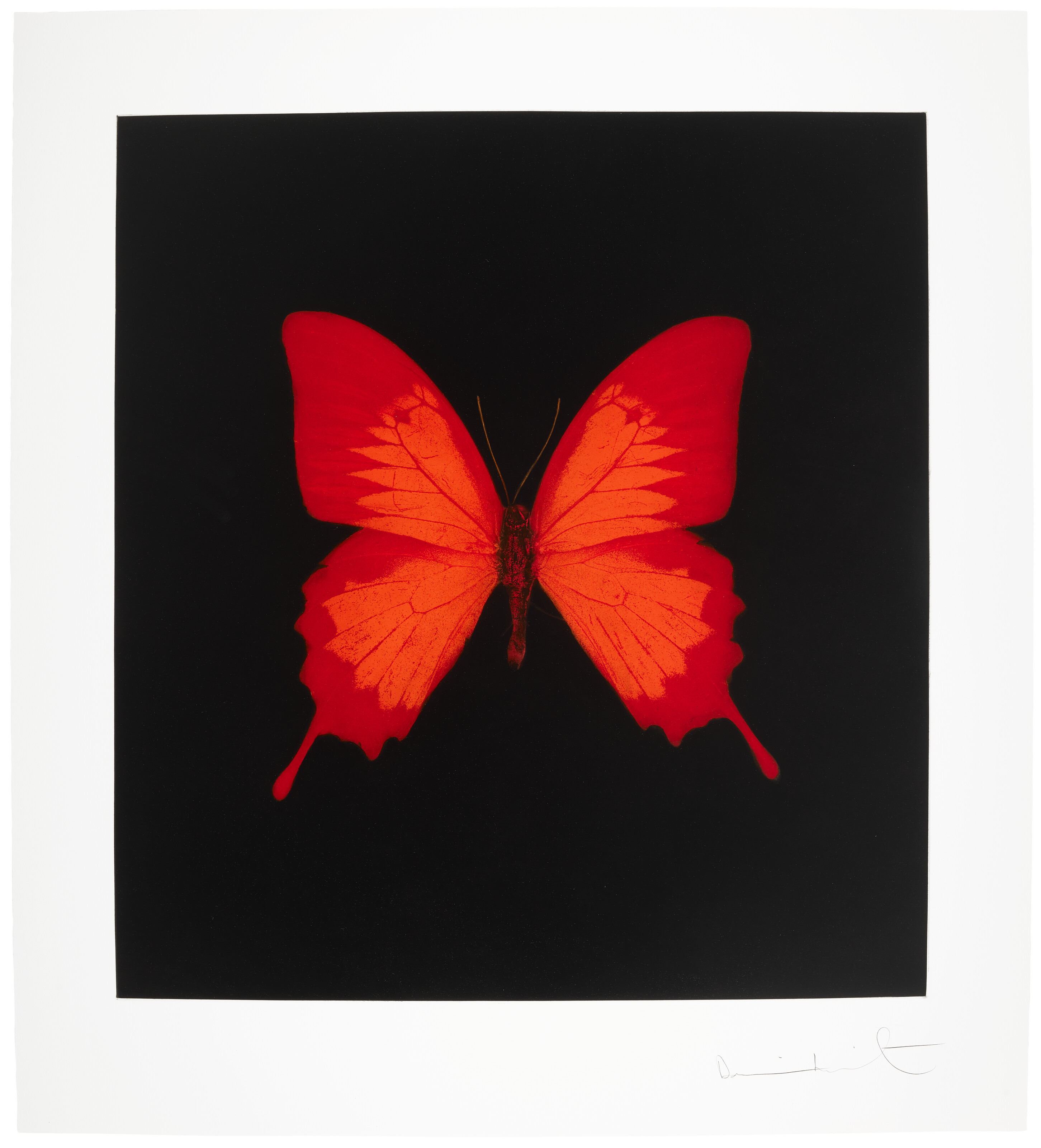 DAMIEN HIRST (B. 1965), The Souls on Jacob's Ladder Take Their Flight ...