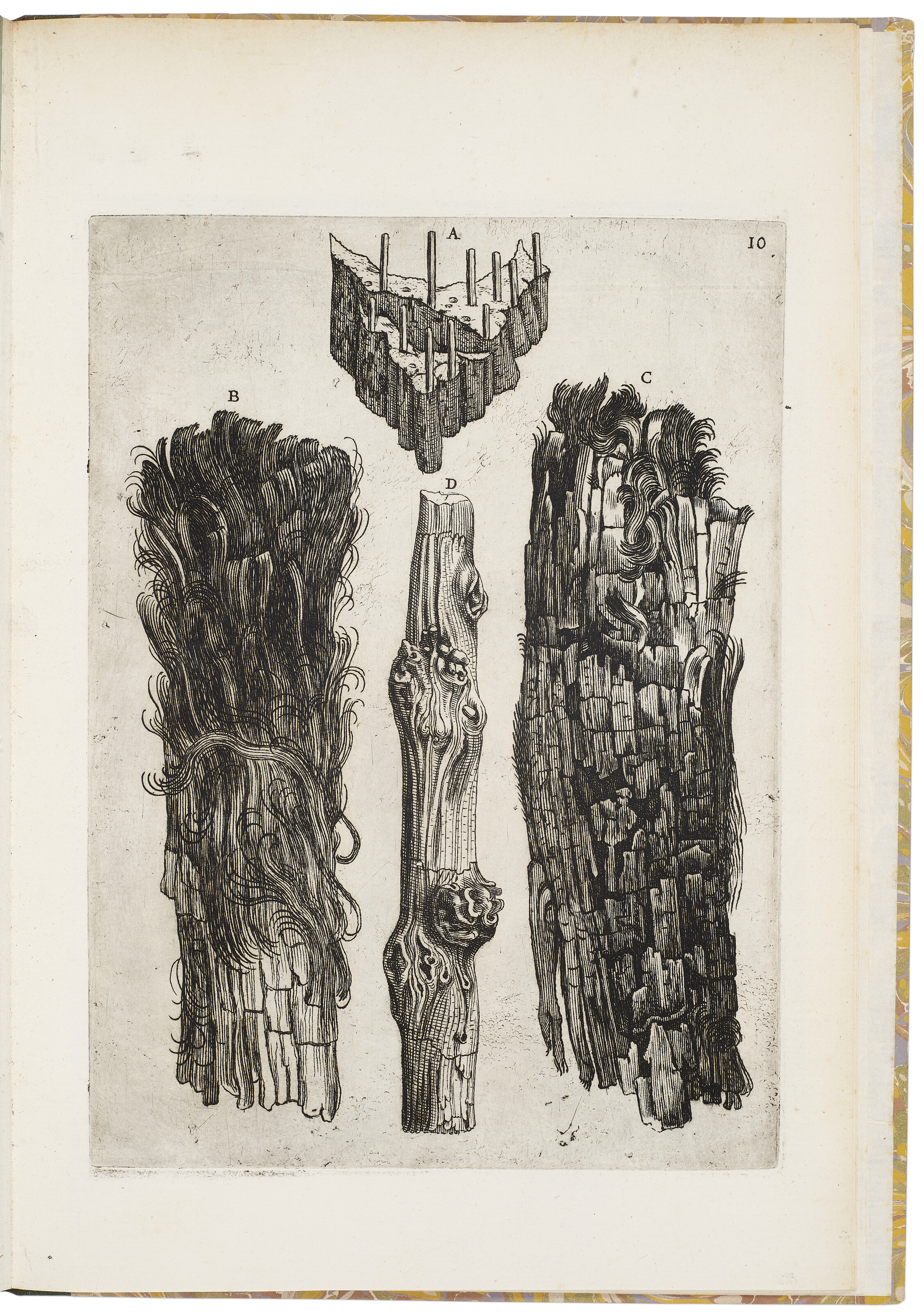 Trattato del legno fossile minerale nuovamente scoperto nel quale ...