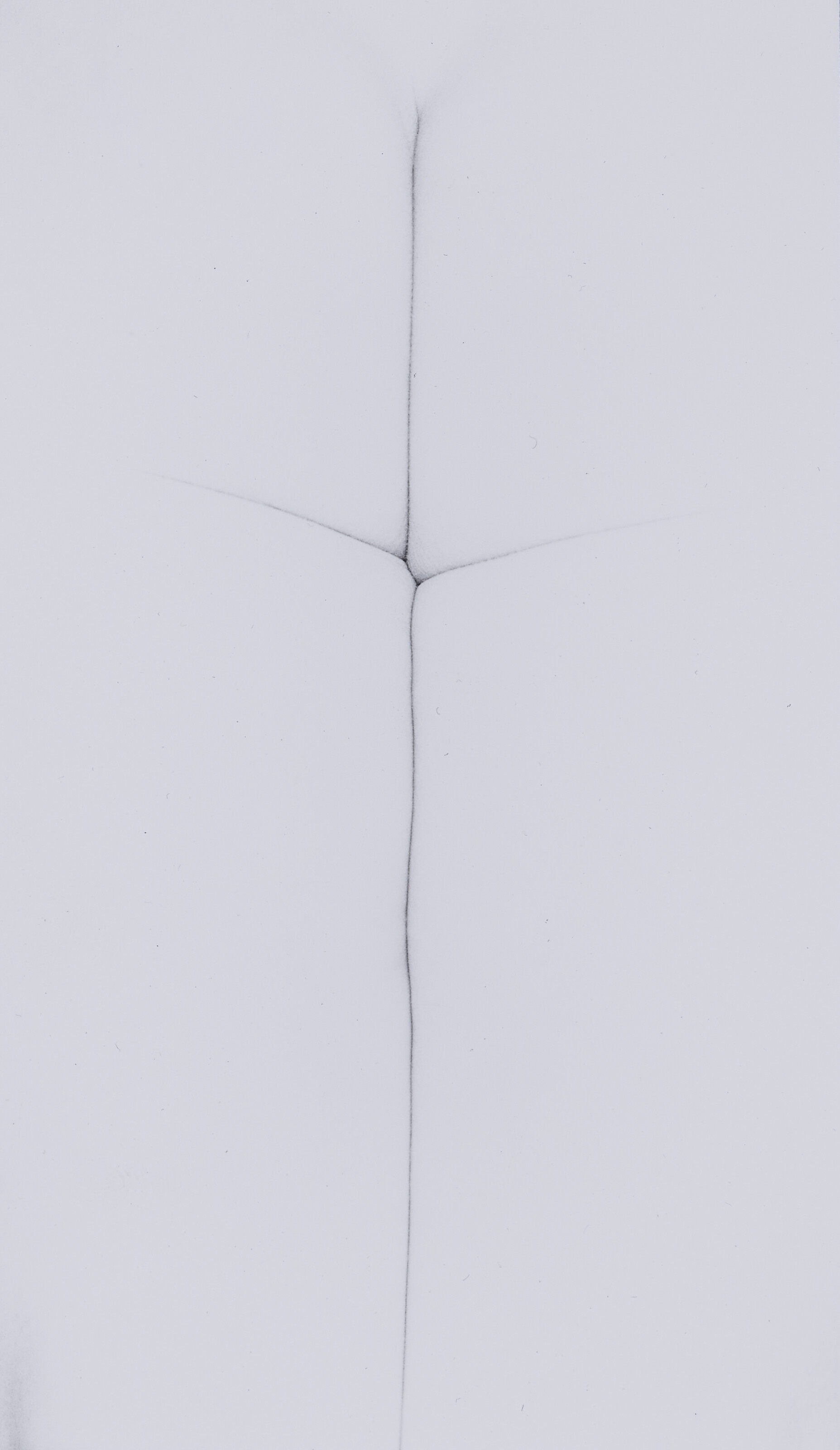 HARRY CALLAHAN (1912–1999), Eleanor, Chicago, 1947 | Christie’s