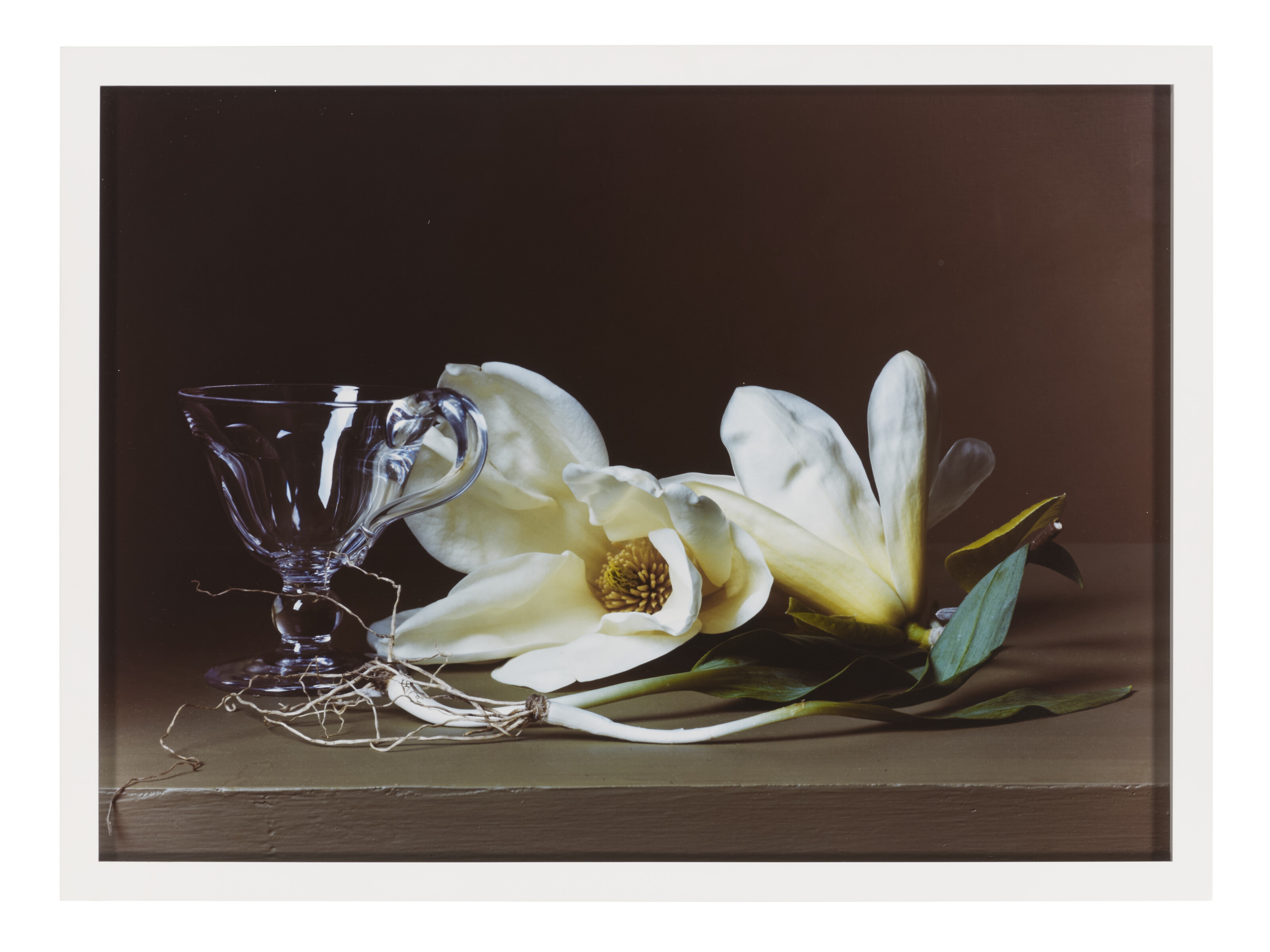 SHARON CORE (B. 1965), Magnolia with Wild Leeks, 2008 | Christie’s
