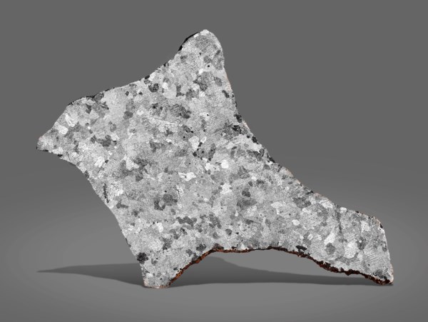 willamette meteoriten