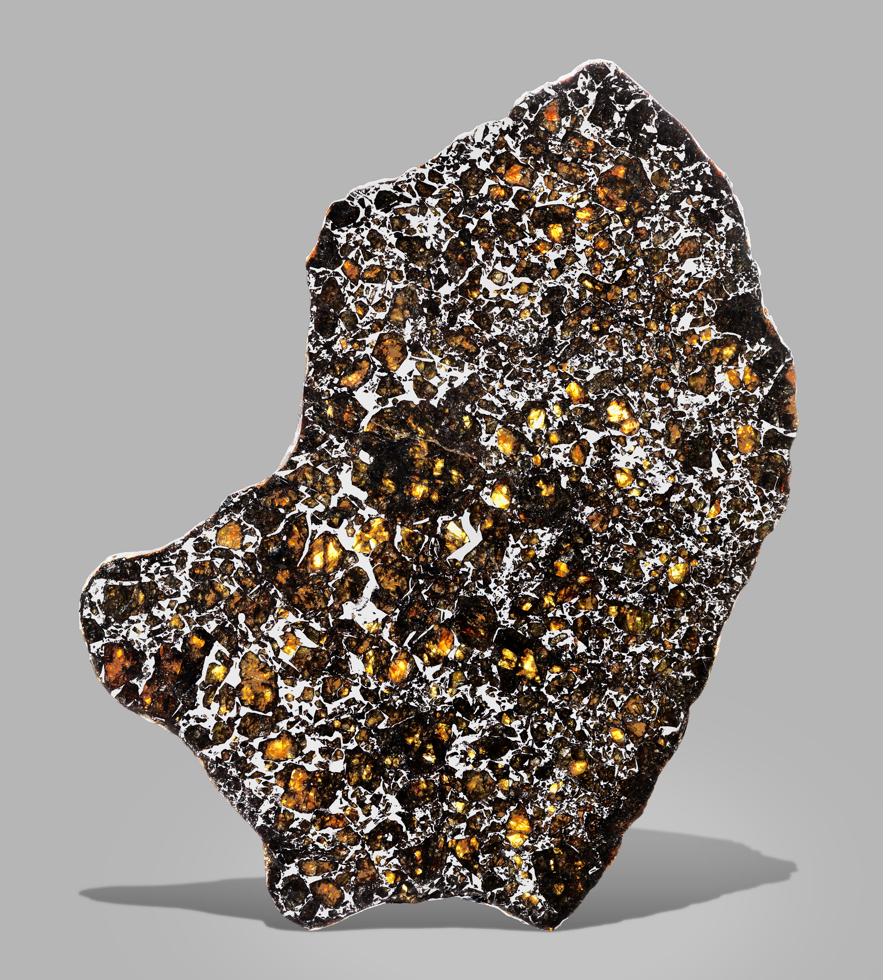 LARGE ADMIRE PALLASITE SLICE WITH EXTRATERRESTRIAL PERIDOT, Pallasite ...