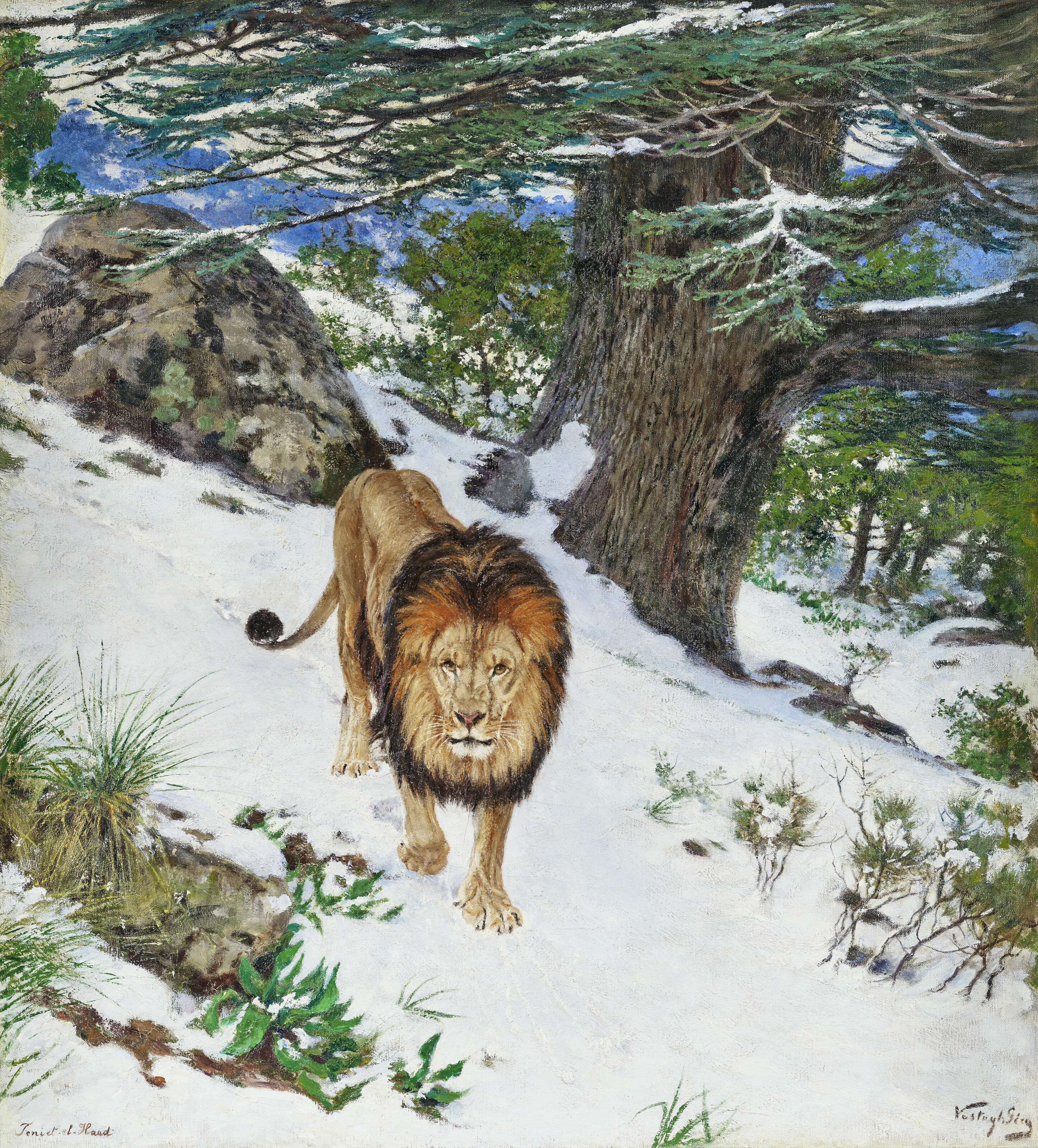 GÉZA VASTAGH (CLUJ-NAPOCA 1866-1919 BUDAPEST), Un Lion de Barbarie dans ...