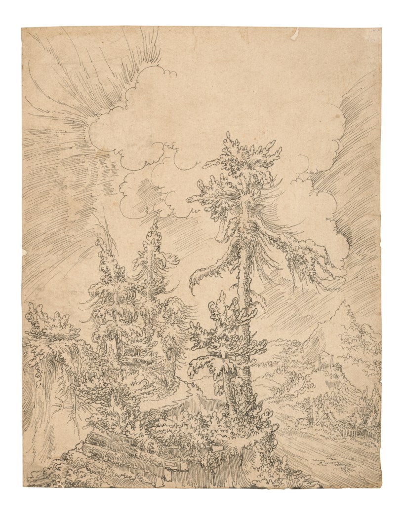 ATTRIBUTED TO WOLF HUBER (FELDKIRCH CIRCA 1490-1553 PASSAU), Fir trees ...