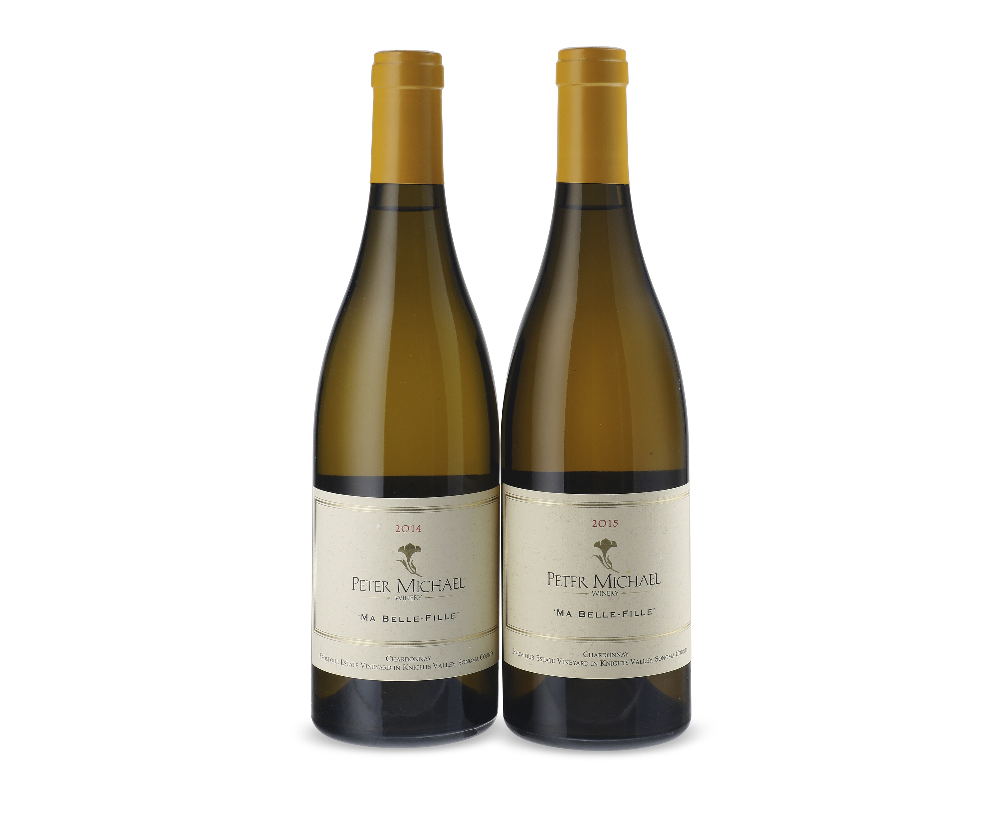 Peter Michael, Ma Belle-Fille 'Vertical' | 2014 - 2015, Peter Michael ...