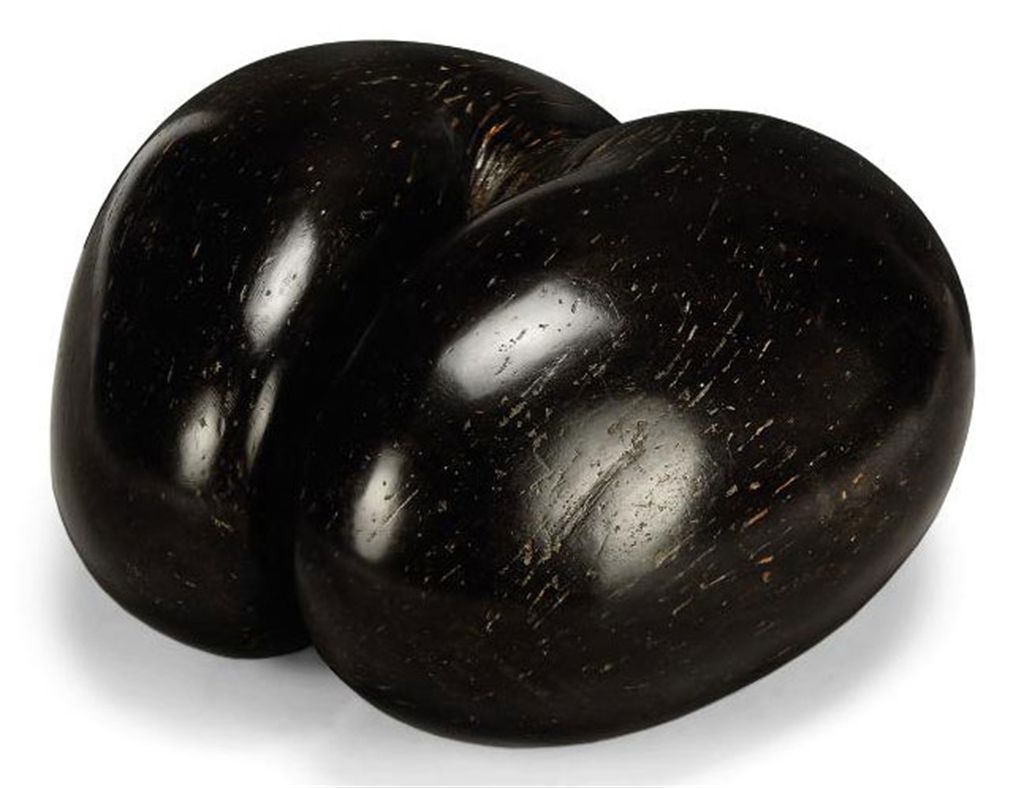 A COCO DE MER (LODOICEA MALDIVICA) POD | Christie's