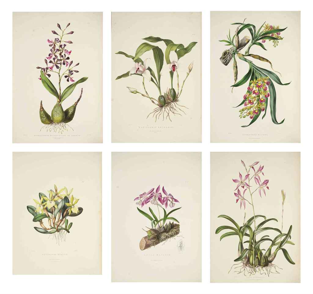 James Bateman: upcoming auctions, appraisal insights and free art price ...