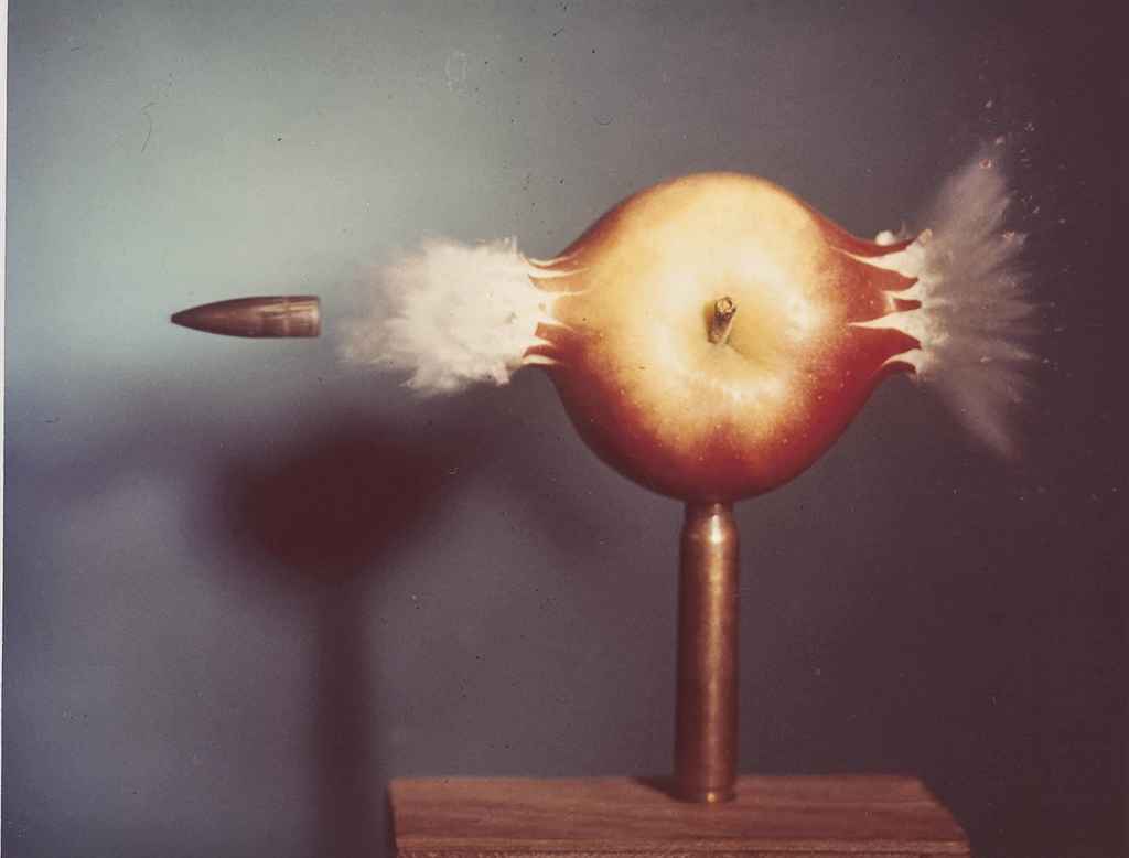 Harold Eugene Edgerton - lots in our price database - LotSearch