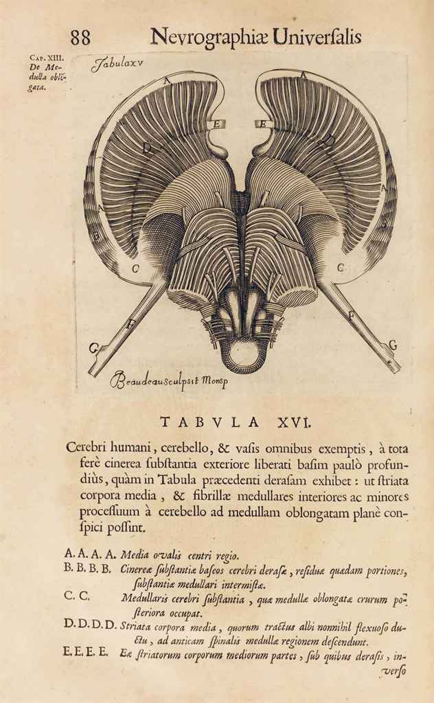 VIEUSSENS, Raymond (vers 1635-1715) Neurographia universalis ...