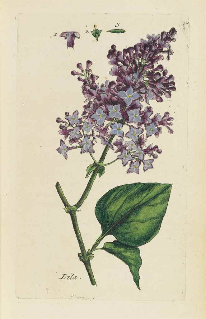 Pierre BULLIARD. Flora Parisiensis, ou - auctions & price archive