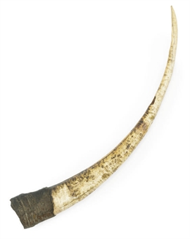 AN AFRICAN IVORY OLIPHANT | 18TH OR 19TH CENTURY | French horn, Musical ...