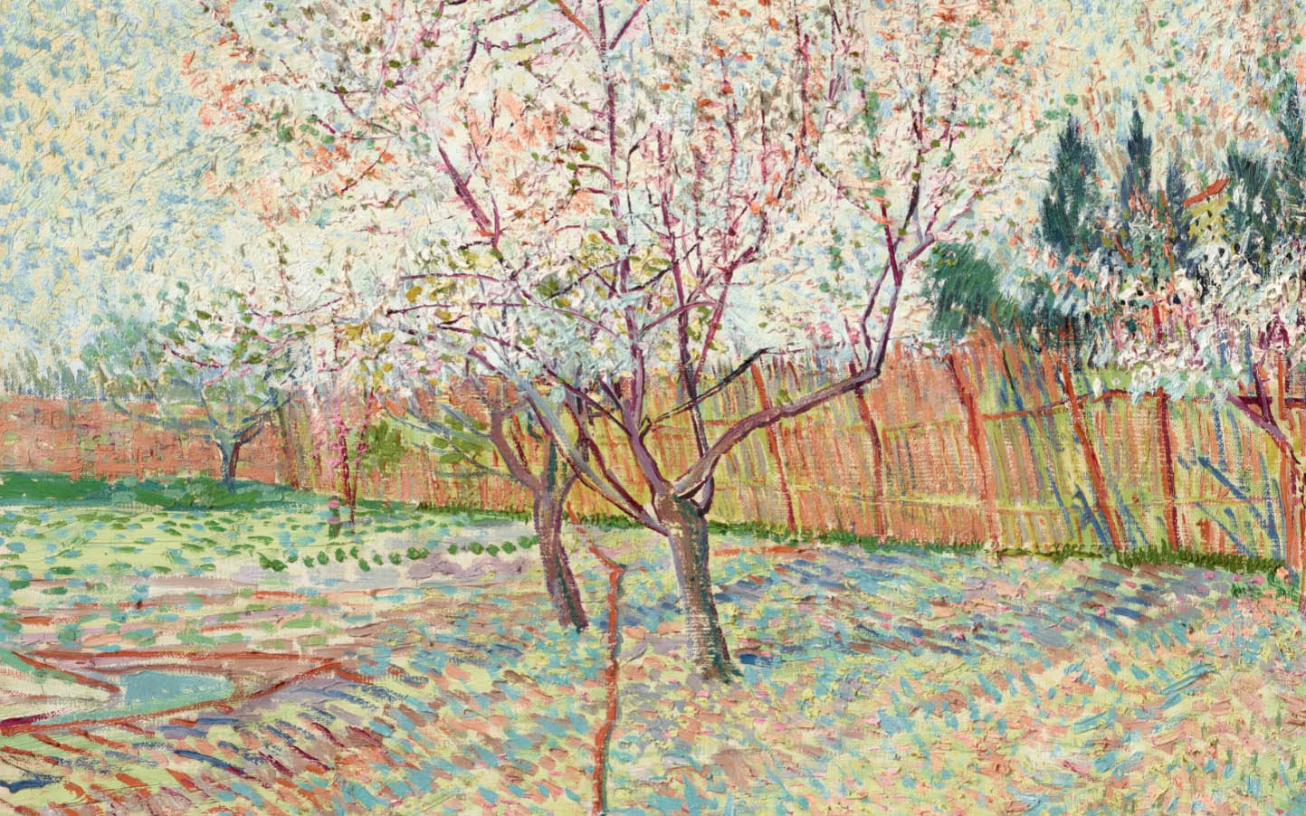 PAUL CEZANNE (1839-1906)